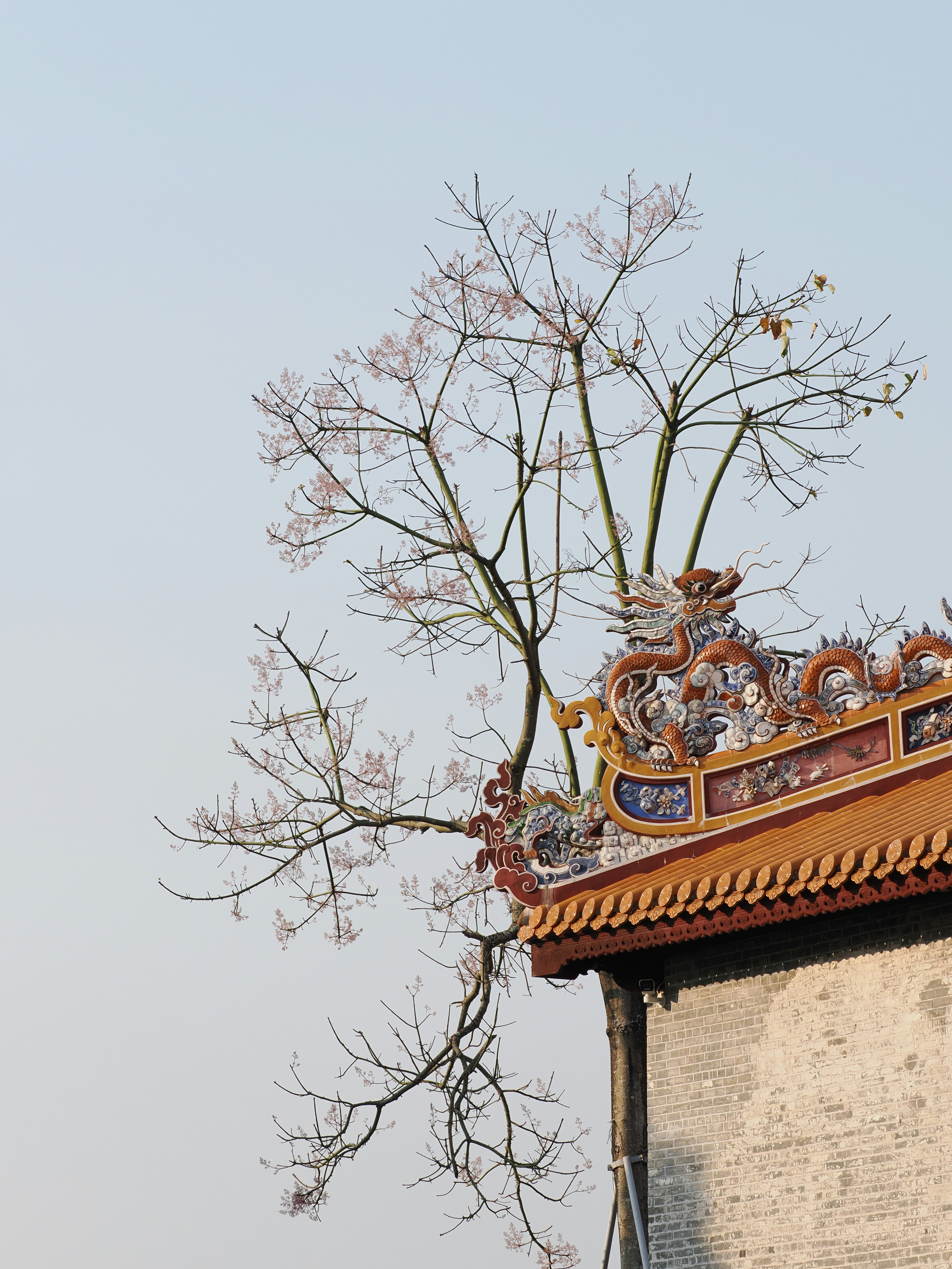 Dragon-roofed Edge: A Temple Corner Framed by Blooming Branches