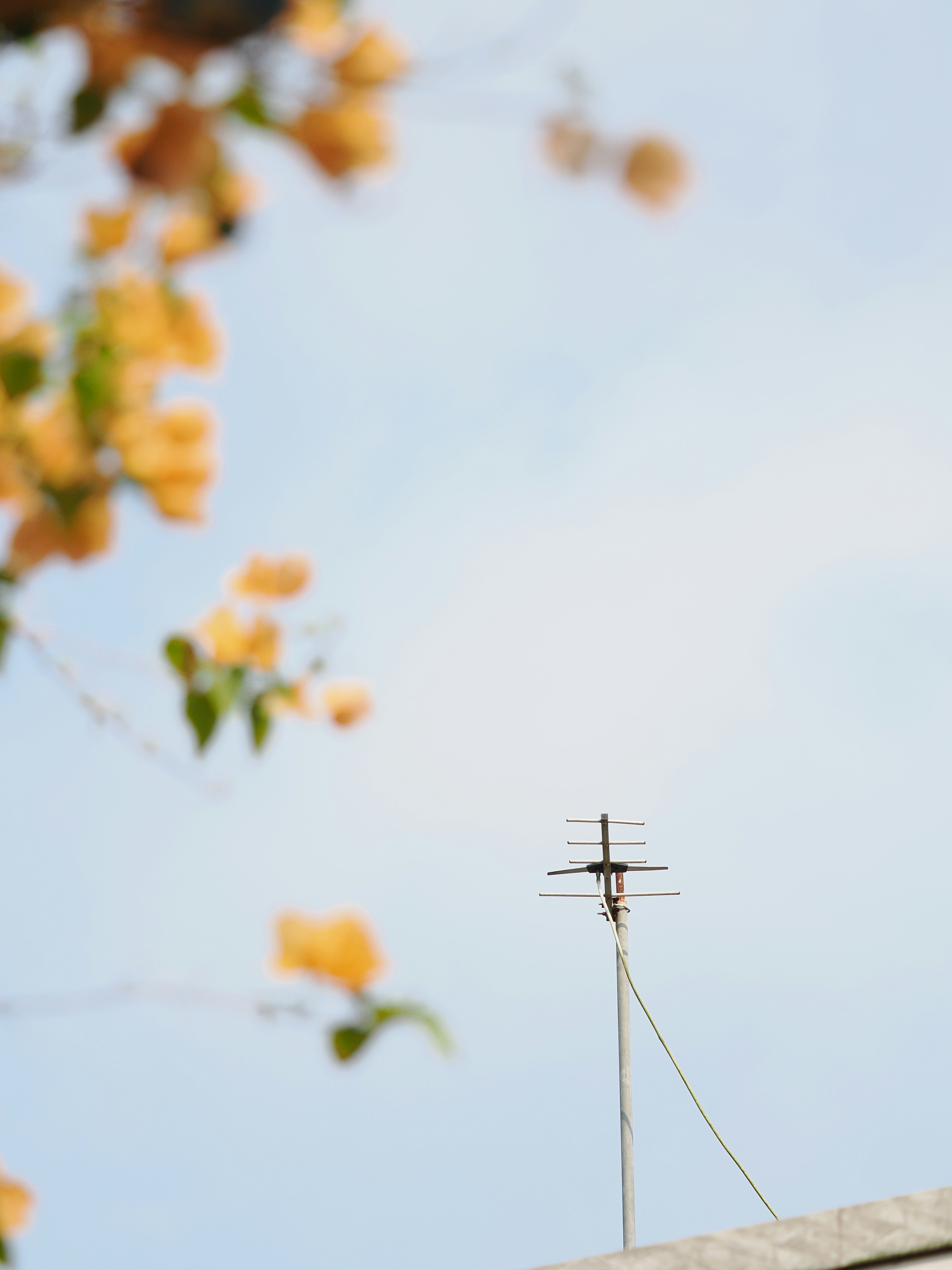 Blurry Sky, Sharp Antenna: Minimalist Urban Piano of a Rooftop