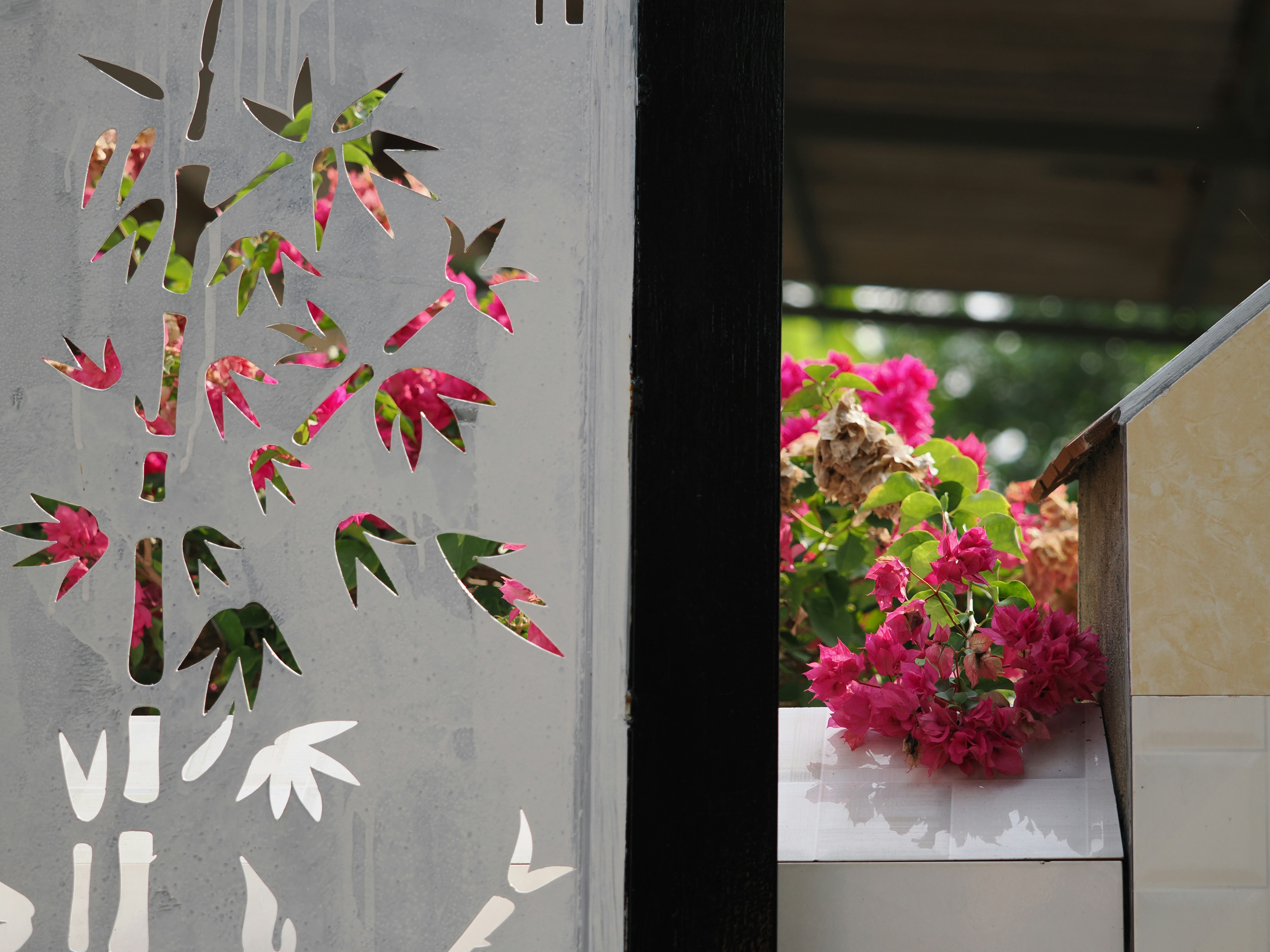 Pink Blooms Behind a Slatted Balcony Panel