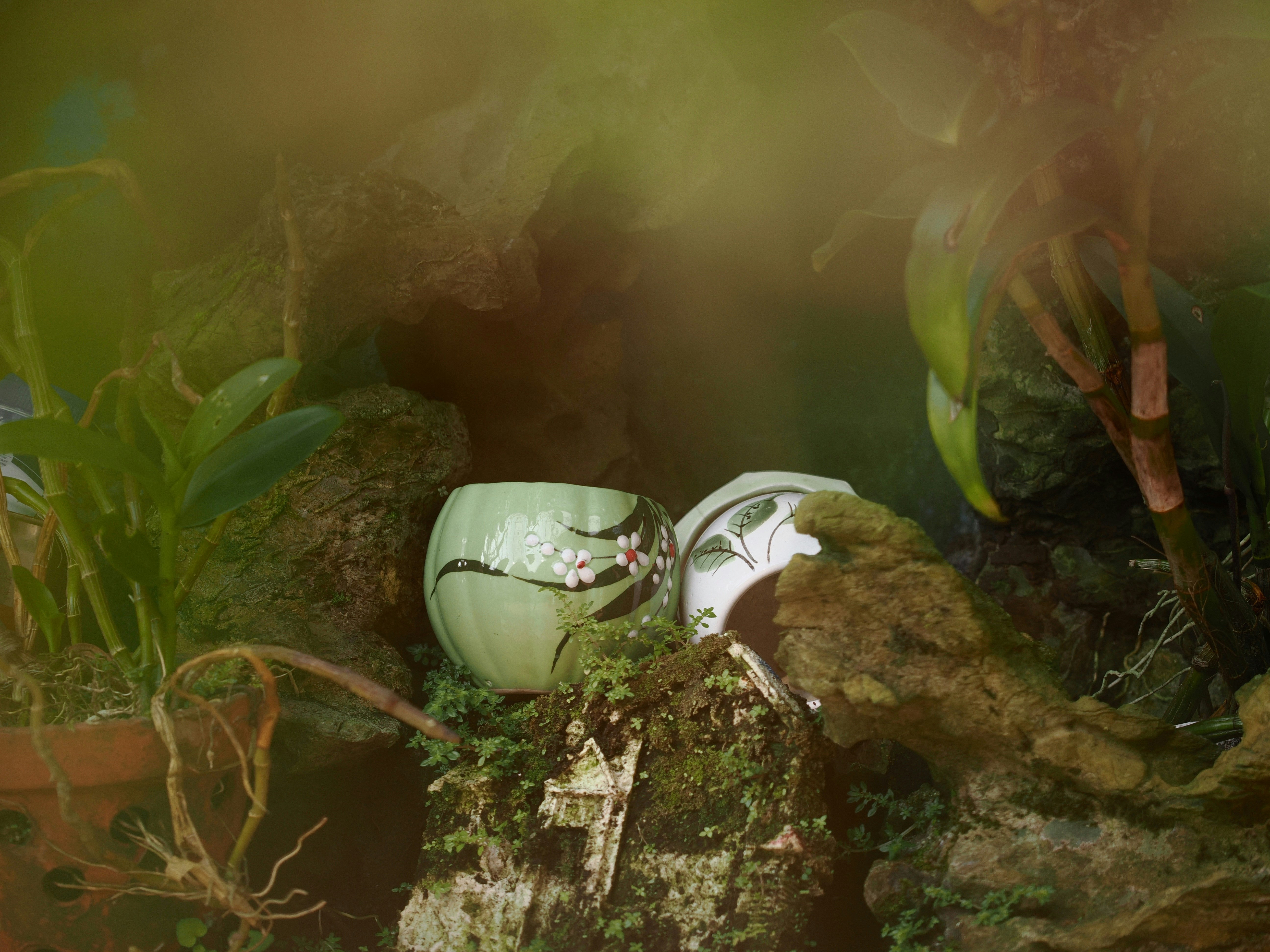 Quiet Tea Ritual in Mossy Stone Nook