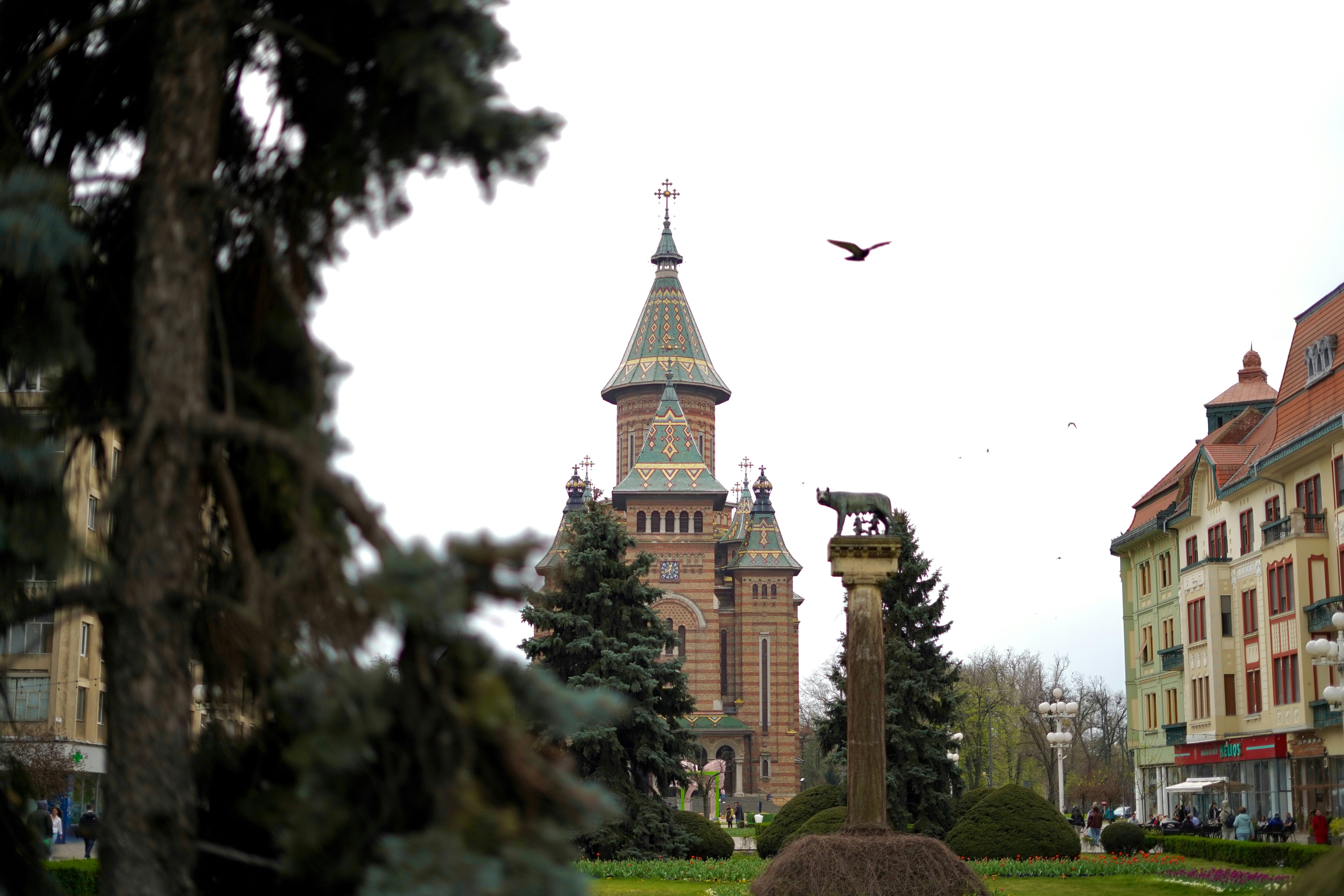 Cathedral Tower Rising Between Park Trees