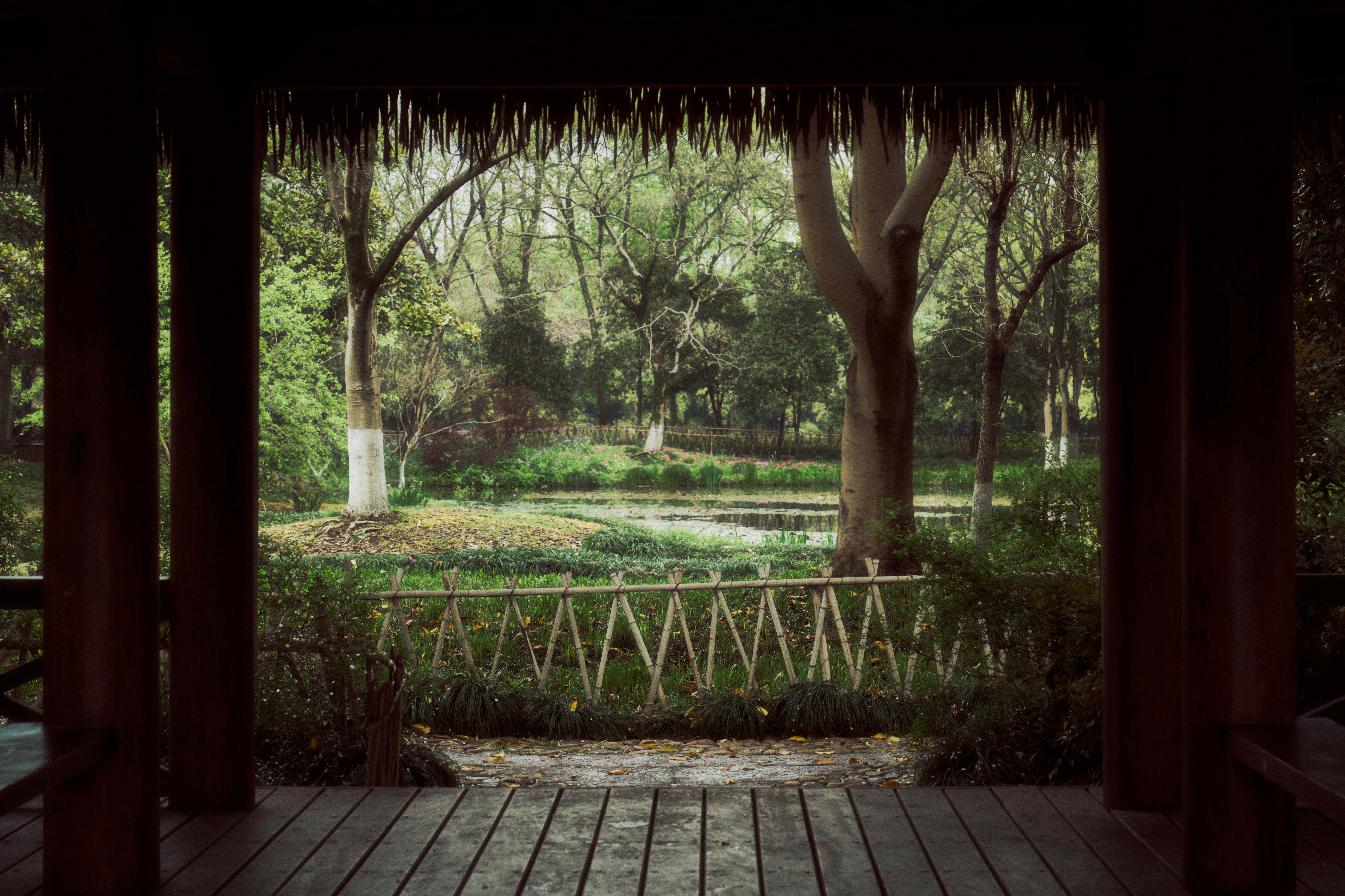 Under the Quiet Pavilion: A Garden Frame