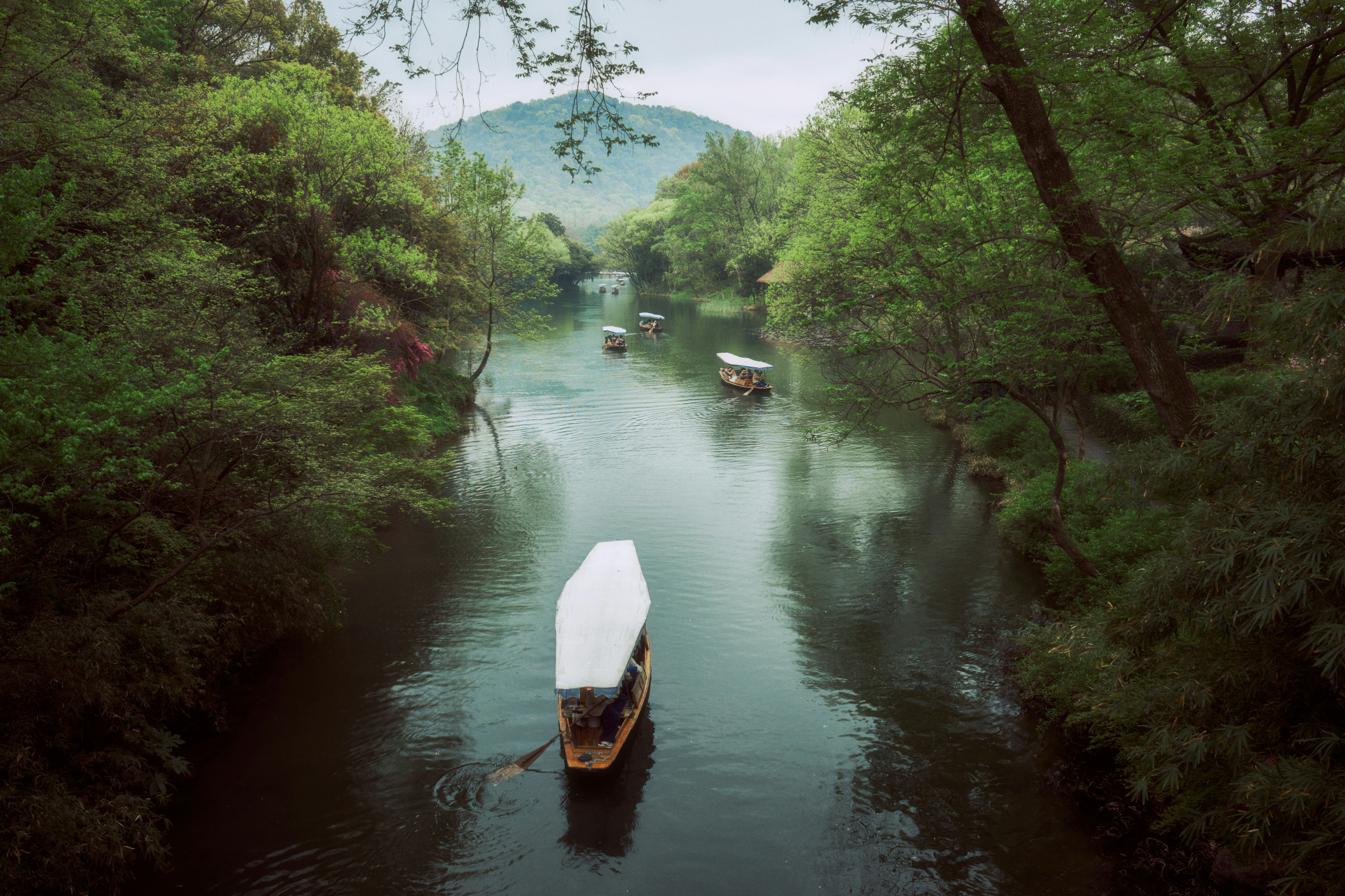 Quiet Corridor: Boats Slipping Through a Green River