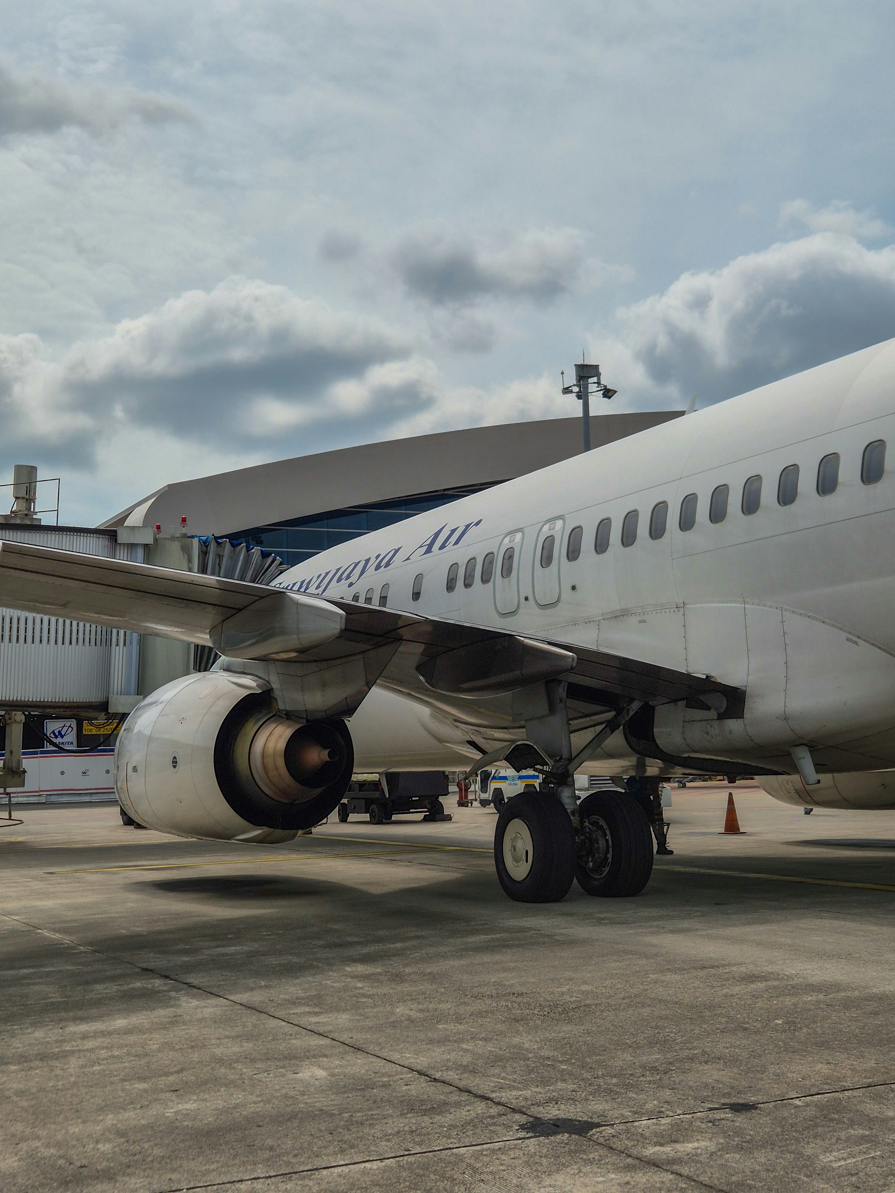 Grounded in Lineage: A Wide-frame View of a Passenger Jet on Tarmac