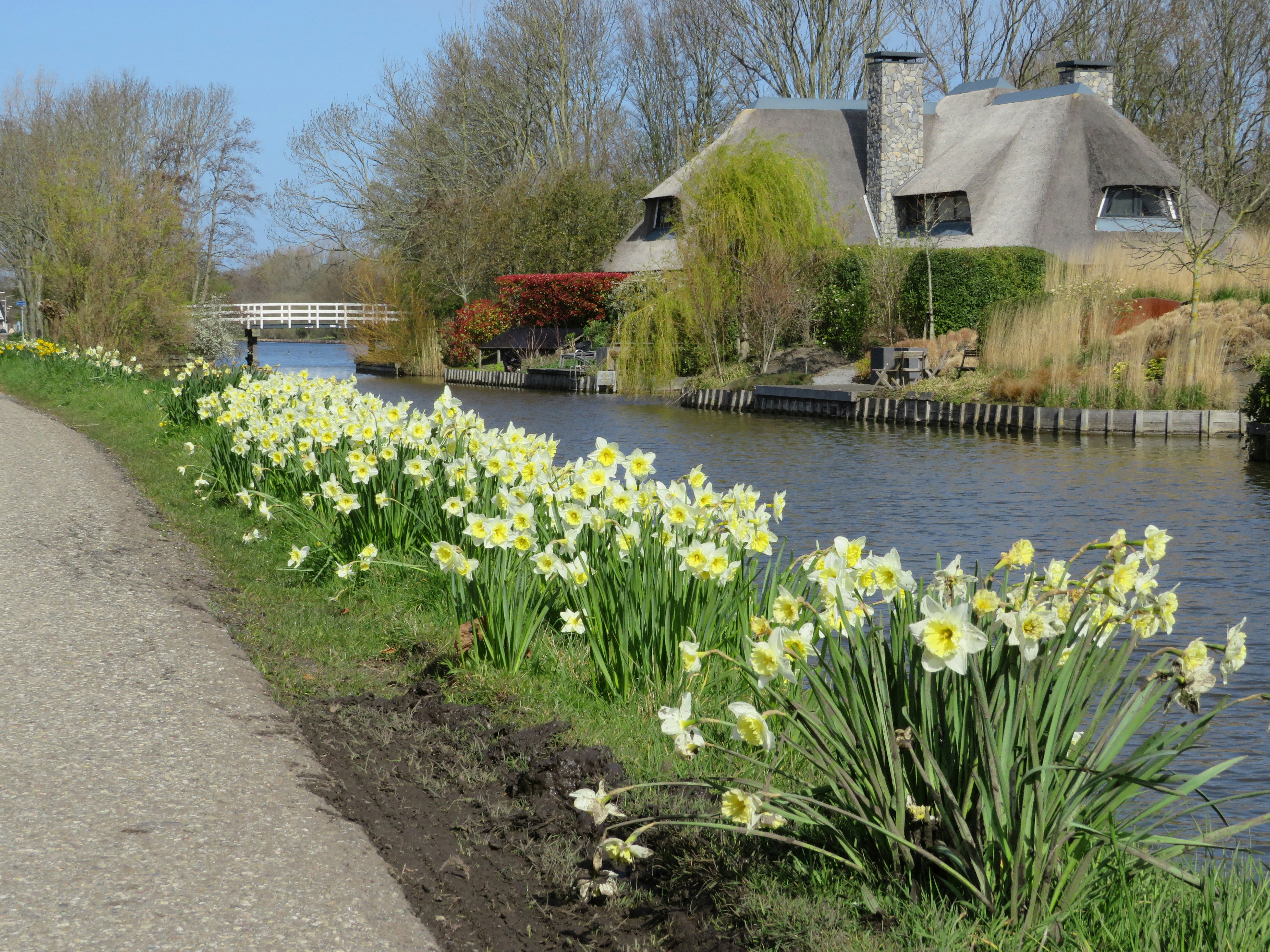 Waterfront Cottage in Spring Bloom