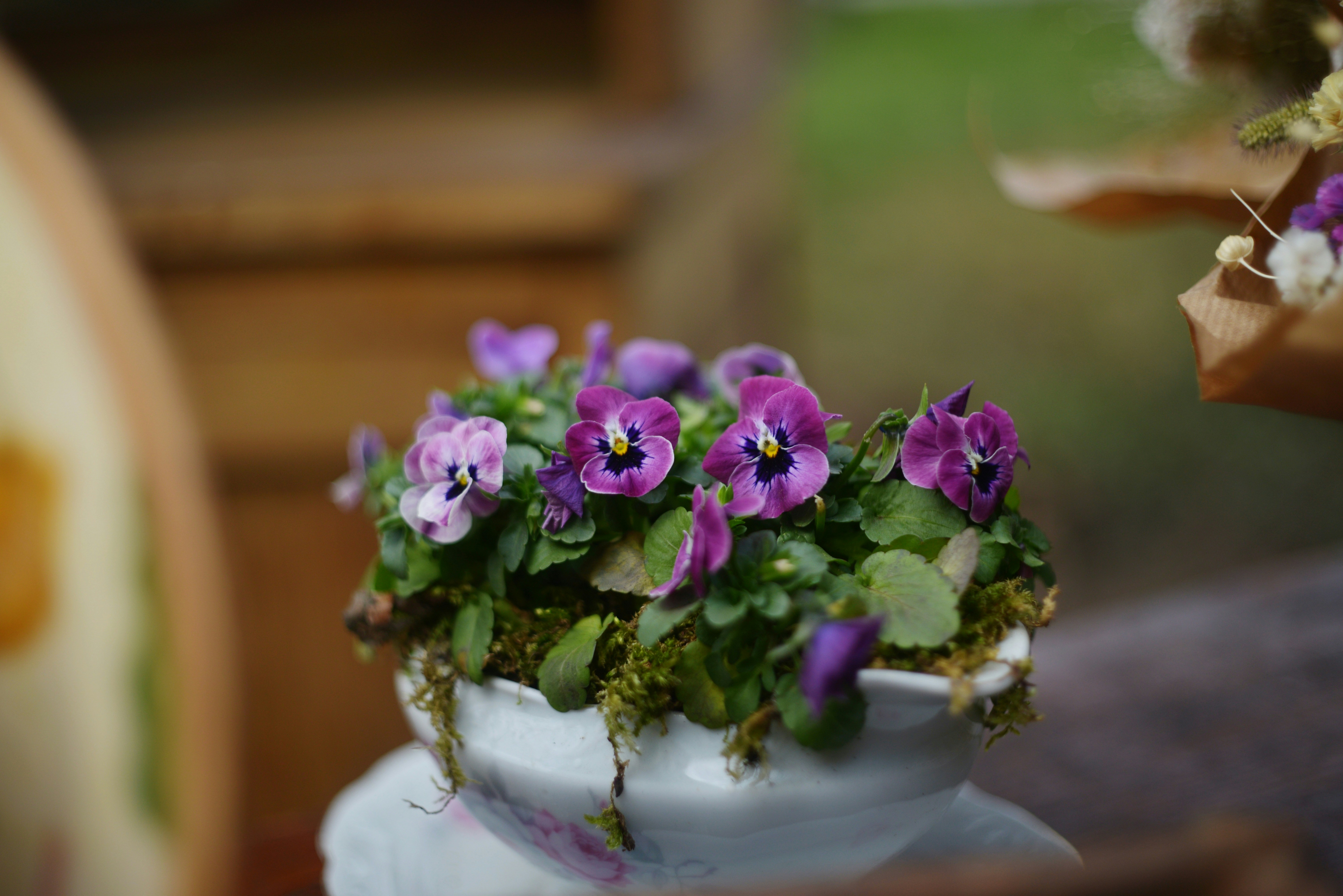 Purple Petals in a Curated White Pot
