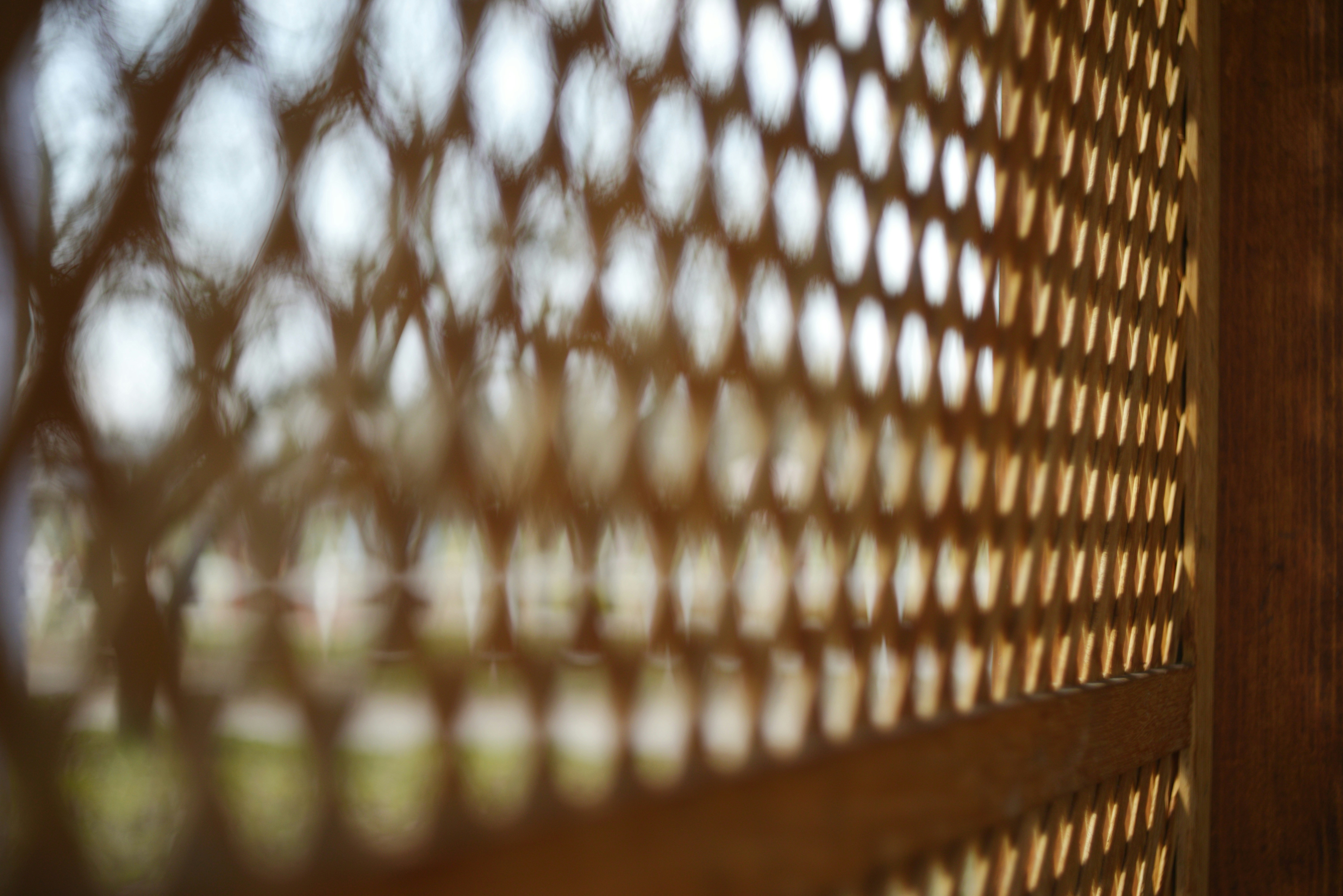 Shadows through a Wooden Lattice