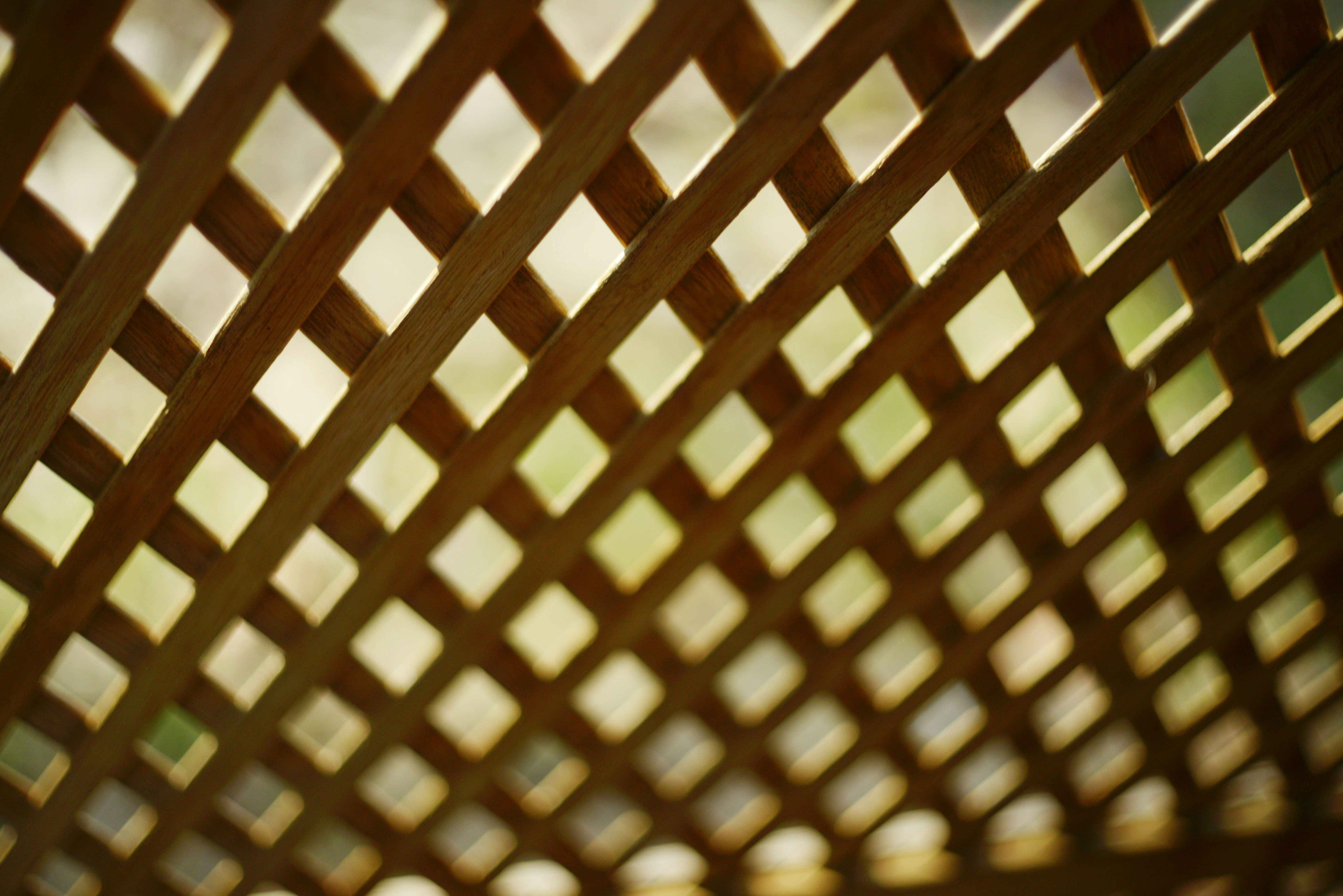 Lattice Grid Veil: A Warm Wooden Tangle of Sunlit Ribs