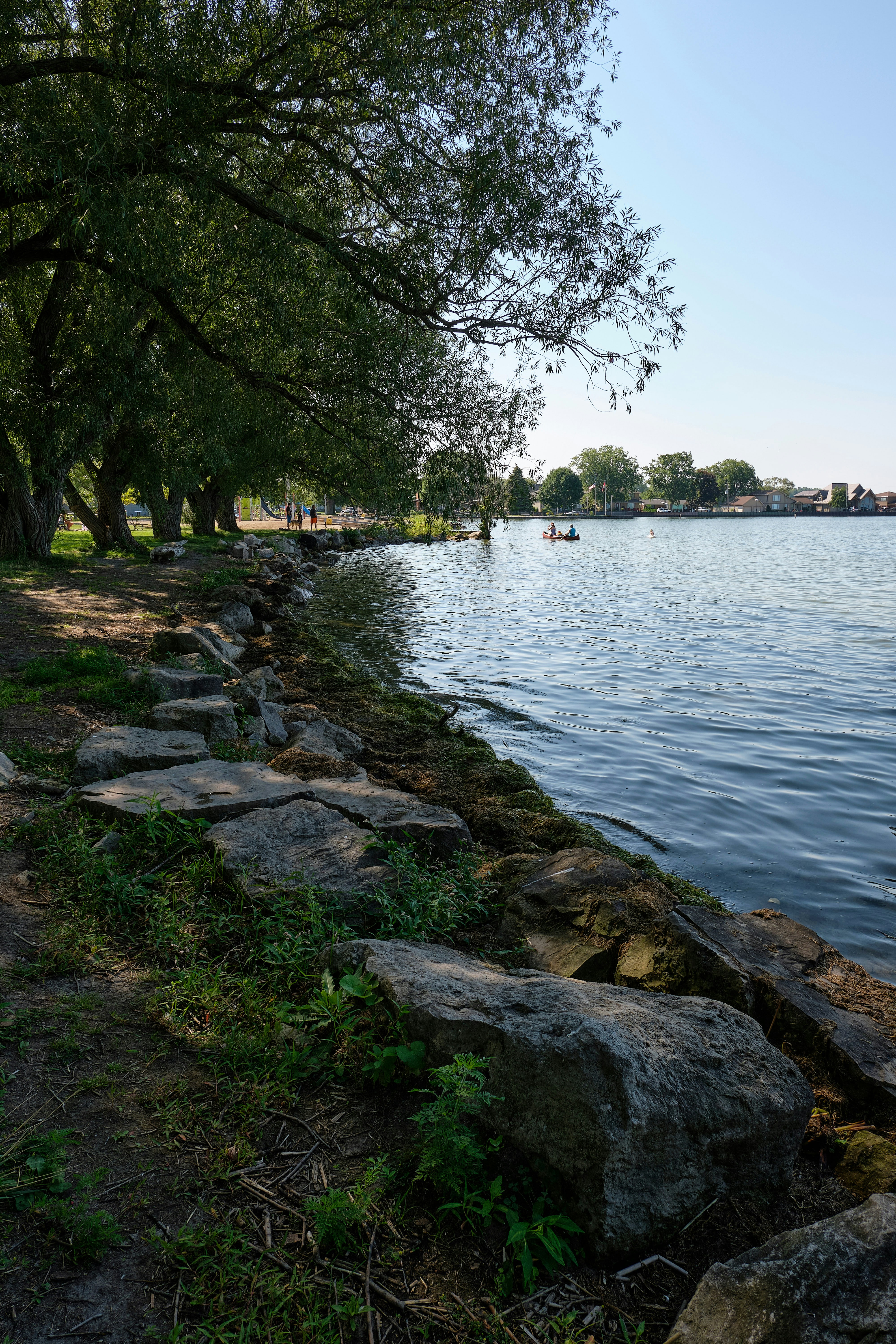 Shoreline in Verdant Light: A Quiet Lakefront Path