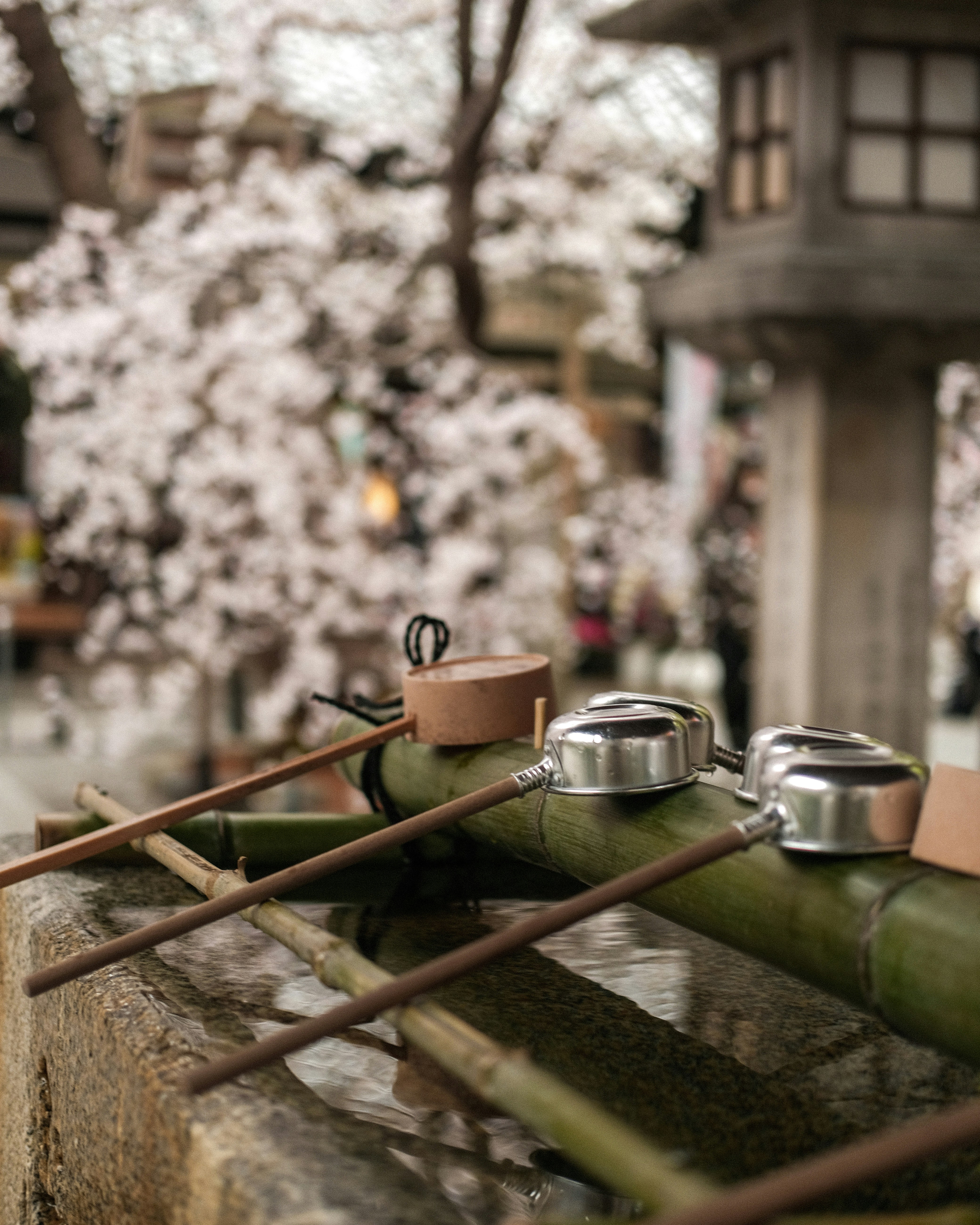Handrails of Serenity: A Bamboo Water Basin in Bloom