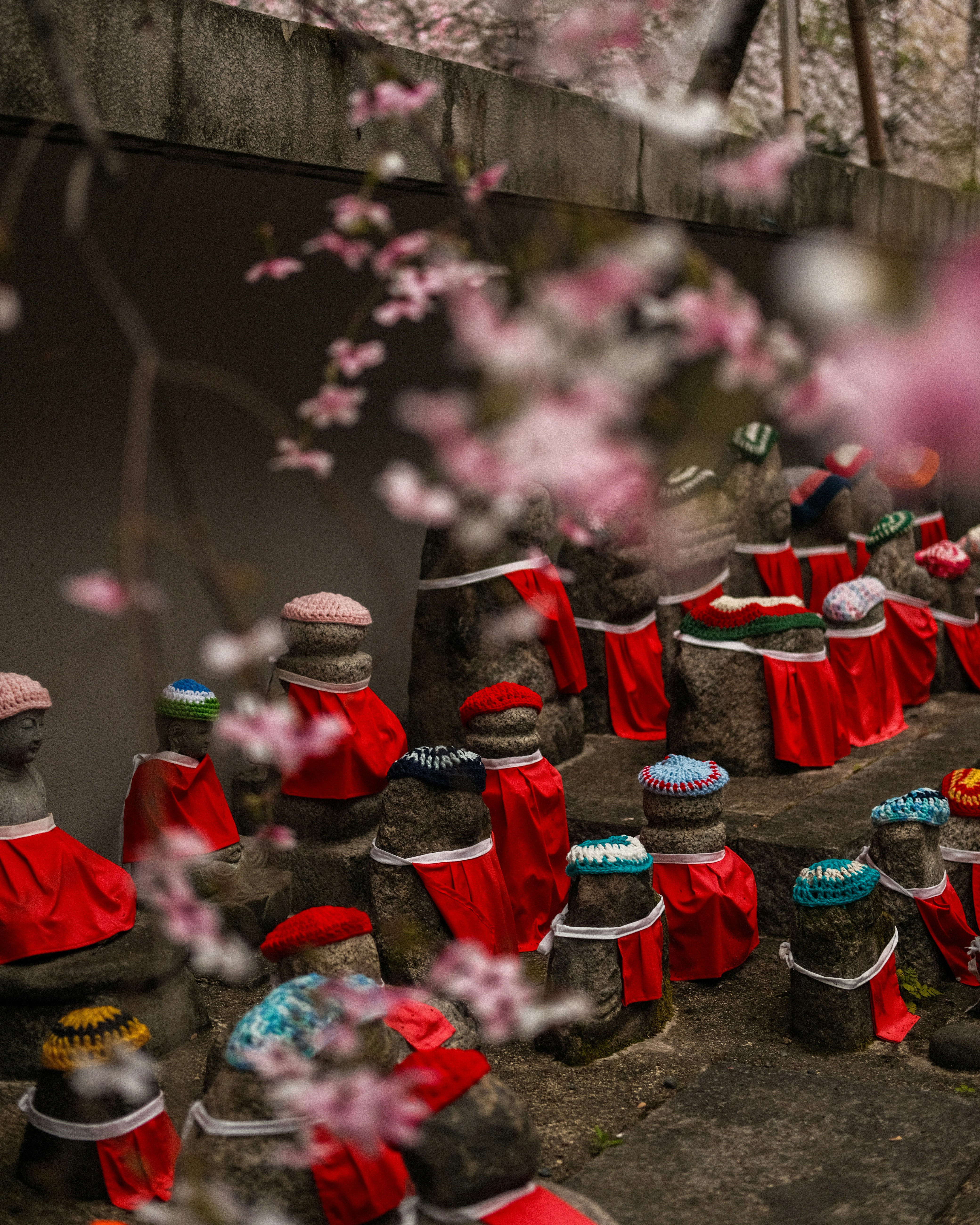 Red-robed stone statues under sakura bloom