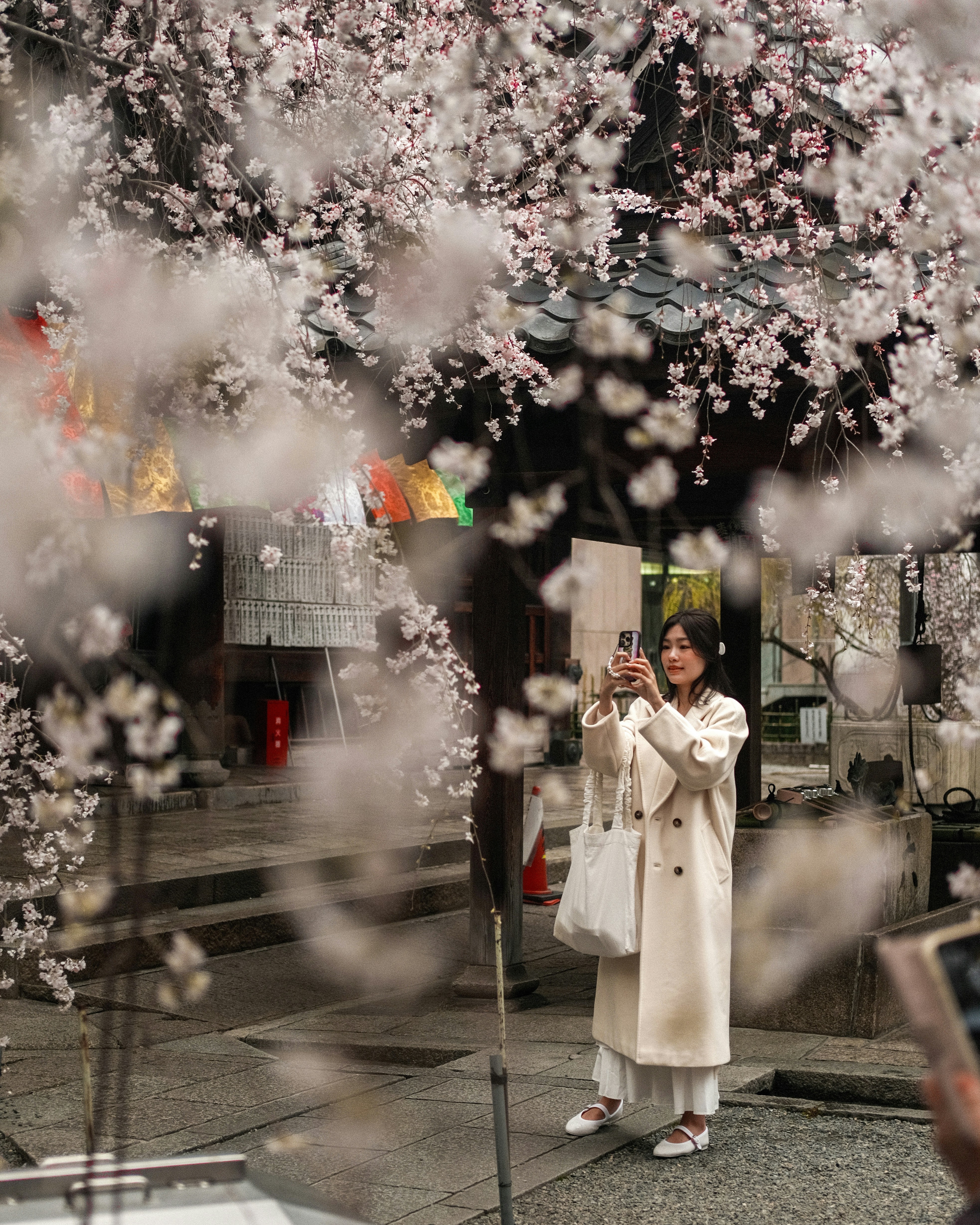 Cherry blossoms frame a candid moment: a woman capturing the scene on her phone beneath flowering branches