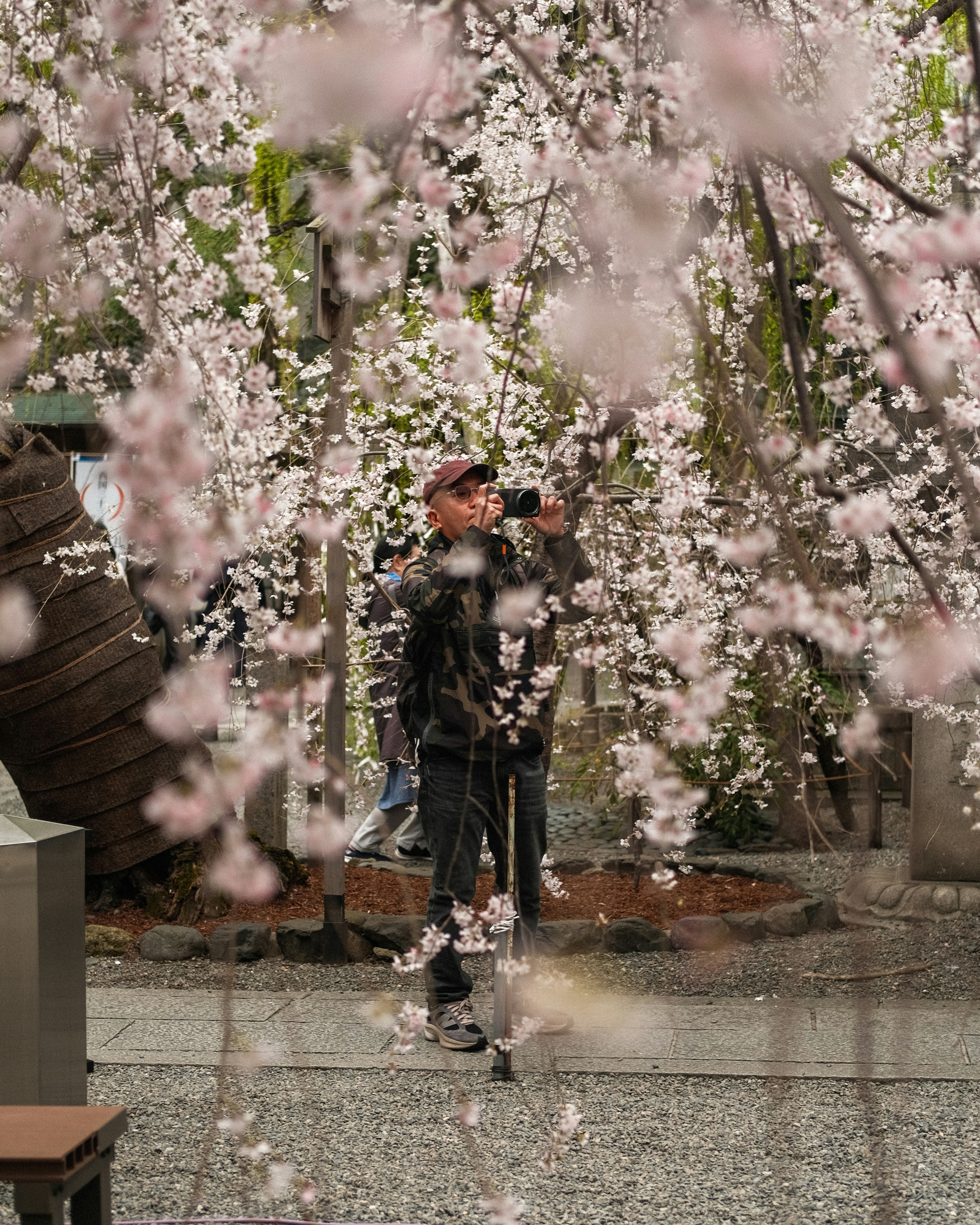 Floral Frame: A Photographer Amid Blooming Dropdowns