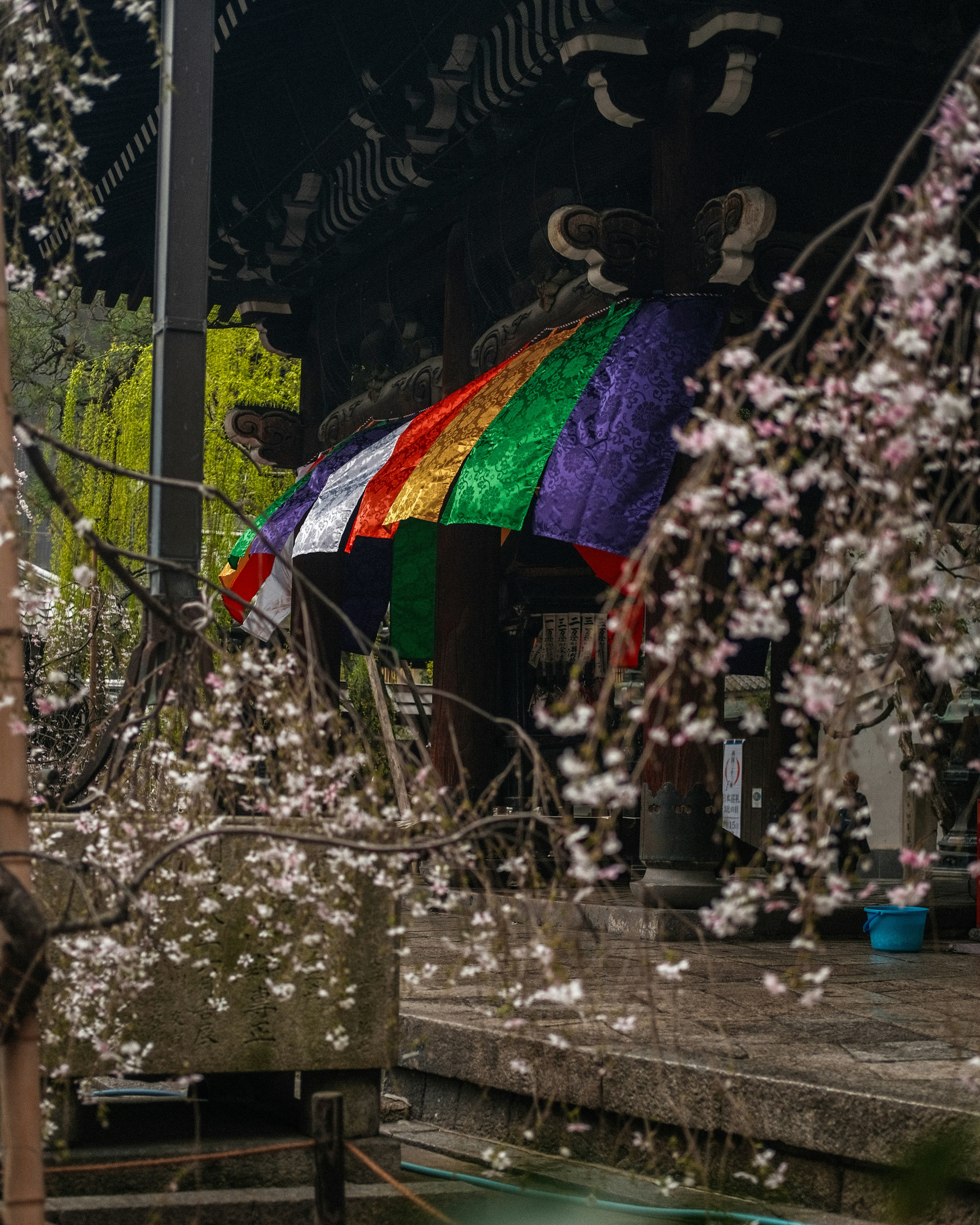 Rainbow-robed Shrine Afloat in Spring Blossoms