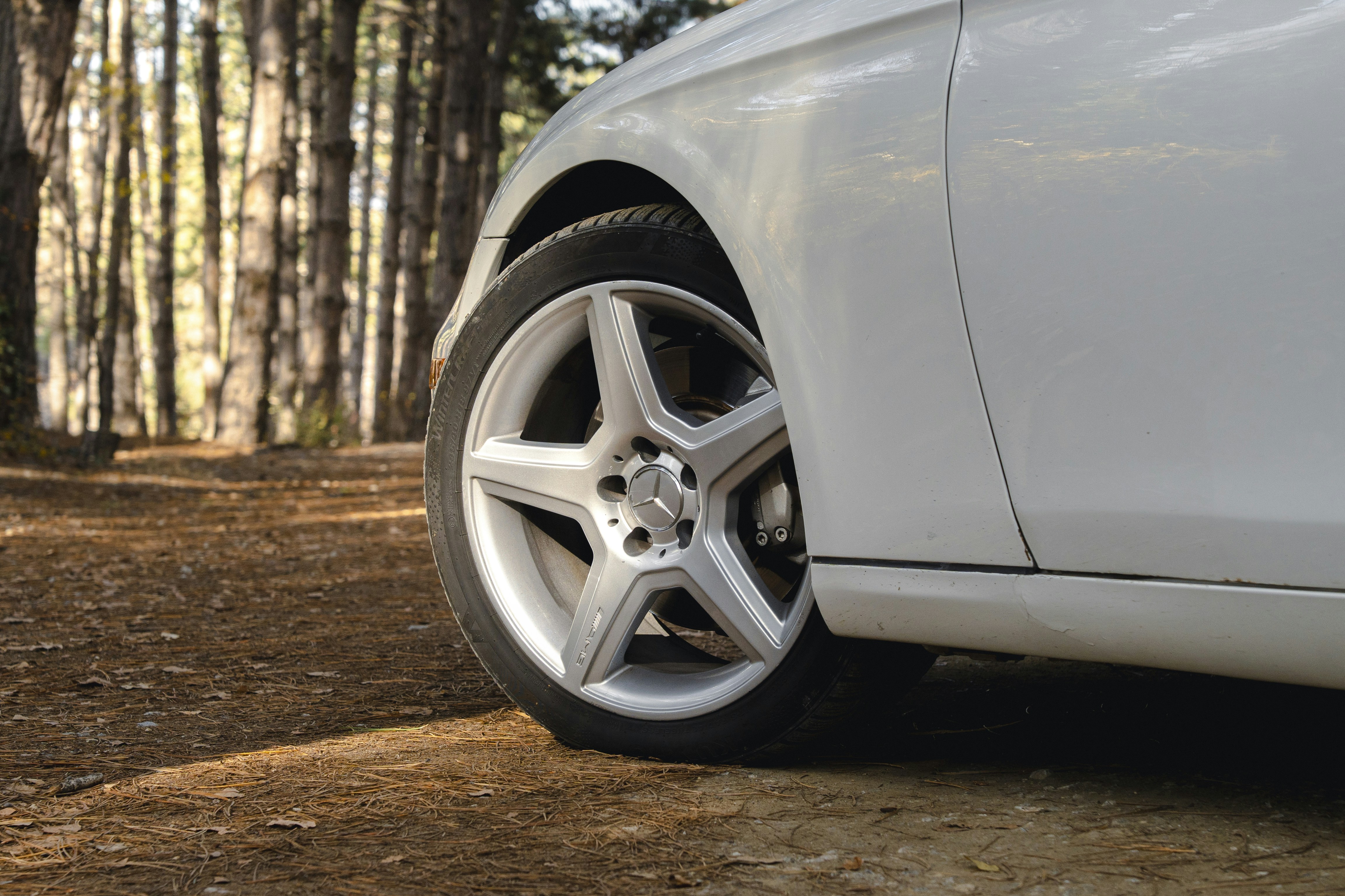 Front-wheel Focus: A silver sedan resting on sunlit forest soil