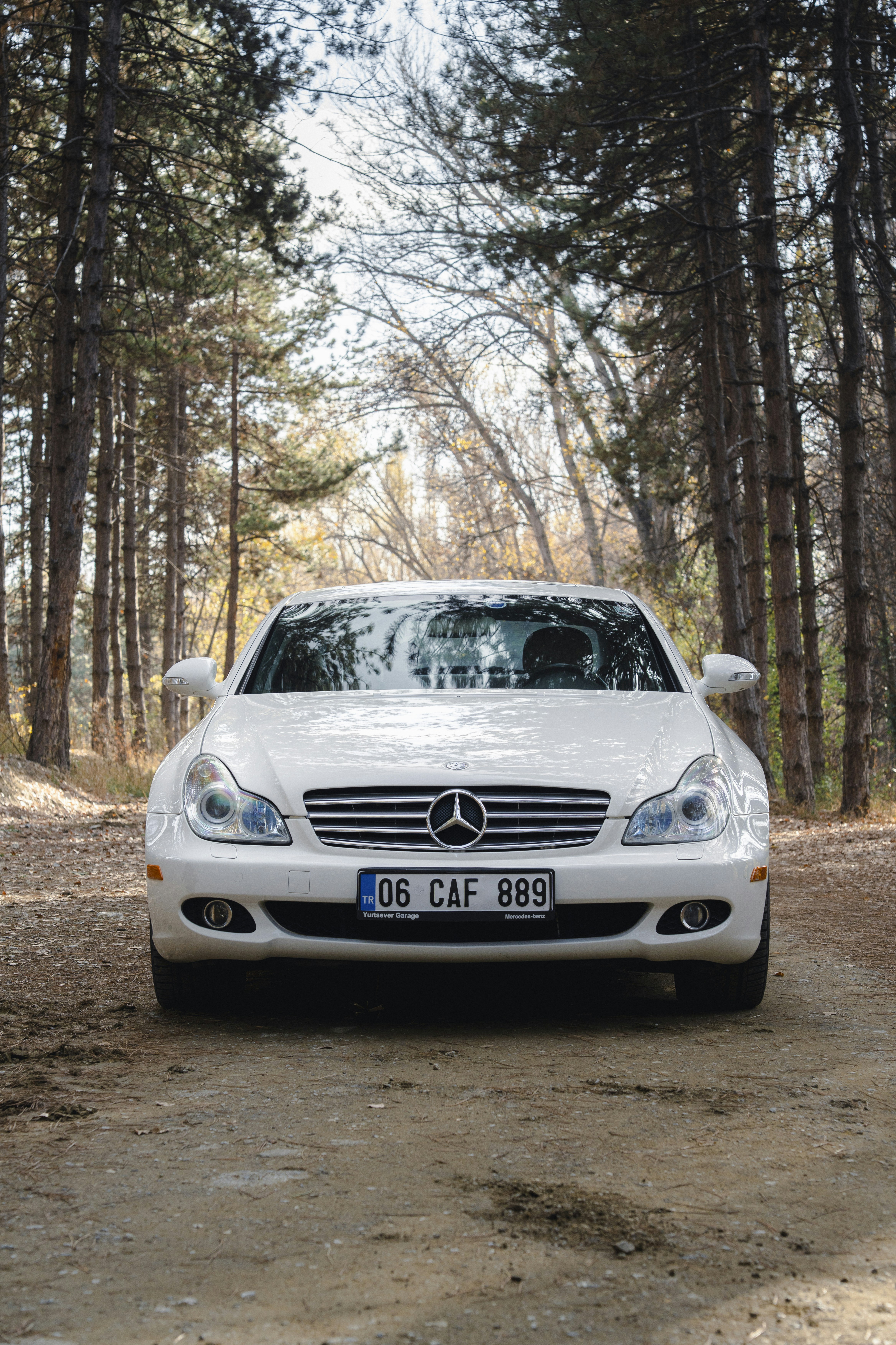 Centered Mercedes on a Forest Road