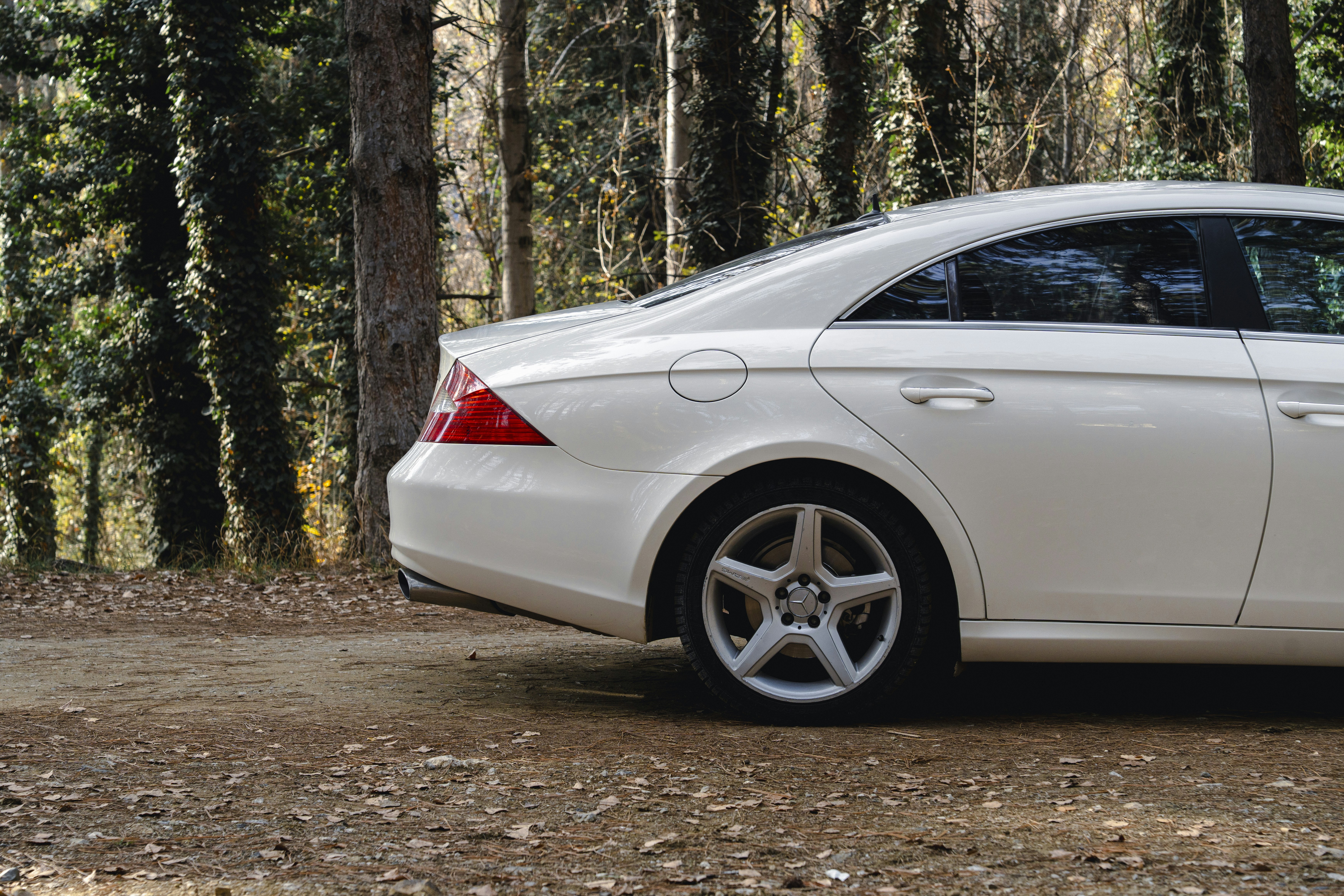 White sedan at forest edge: tail, wheel, and shadow anchor a quiet roadside scene