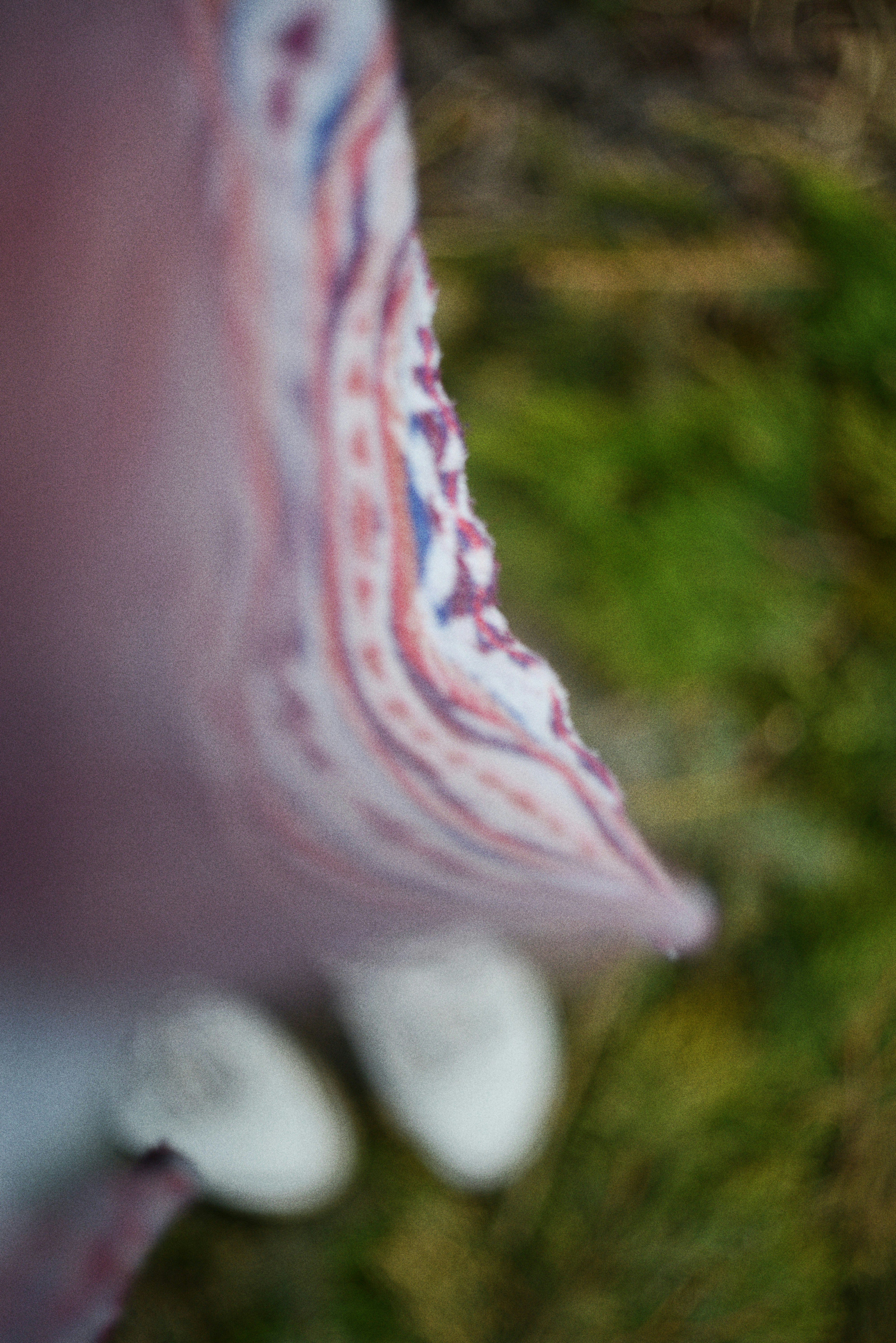 Blurred Tapestry Edge: Abstract Textile Meets Soft Ground