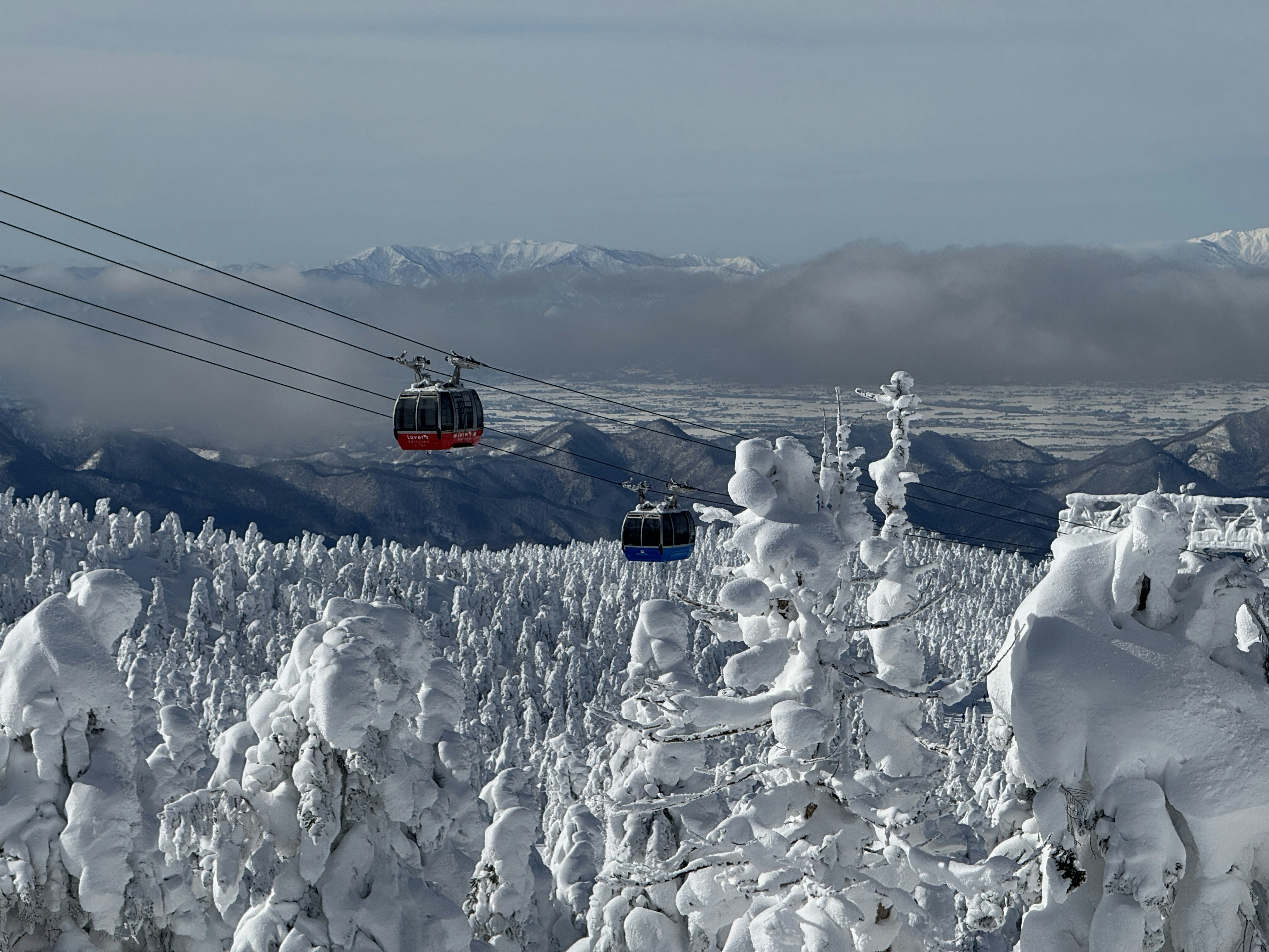 Snowbound Skyline: Cable Cars Over a Frosted Forest