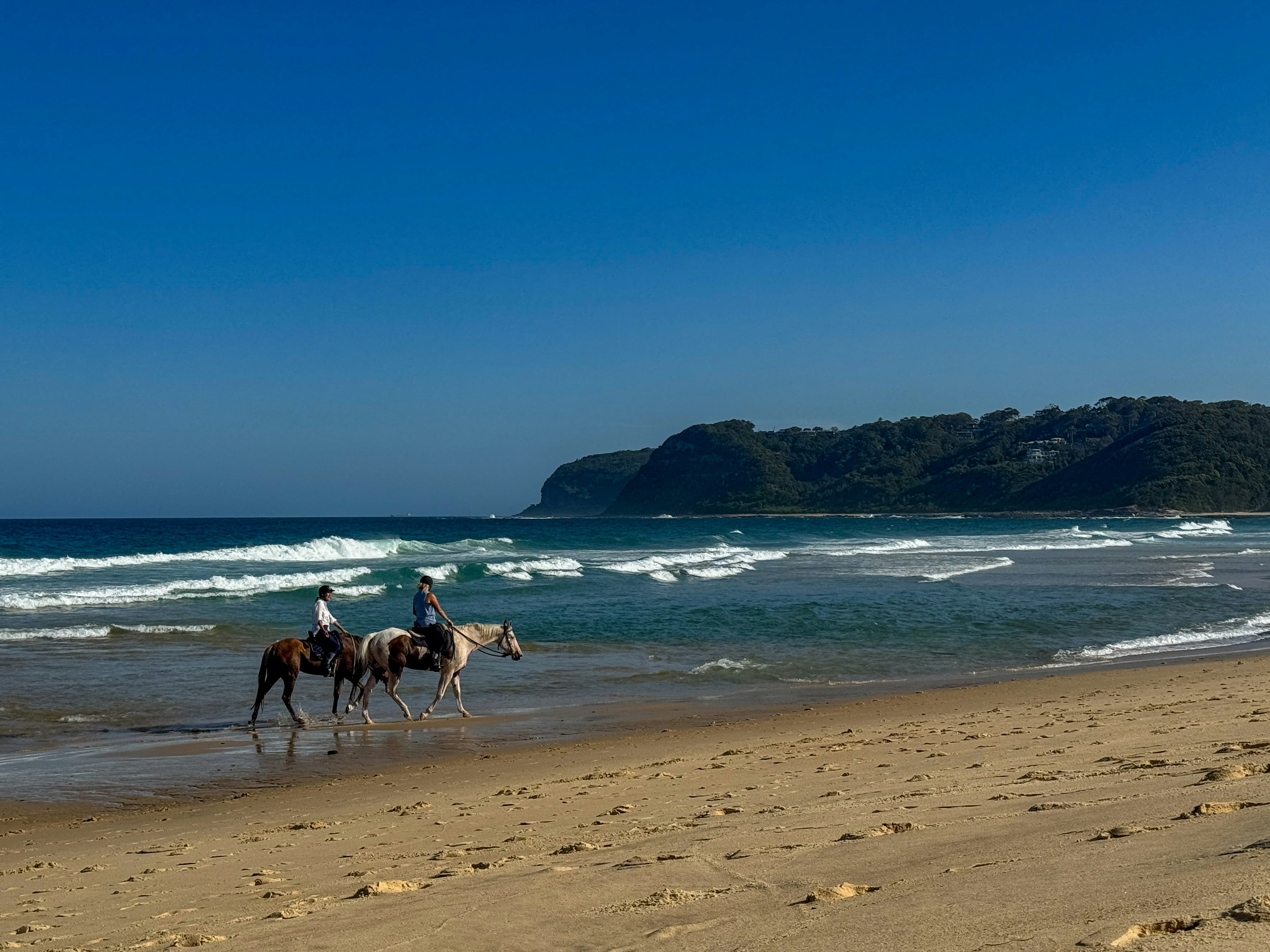 Riders on the shore: horses tracing a gentle arc along sunlit surf