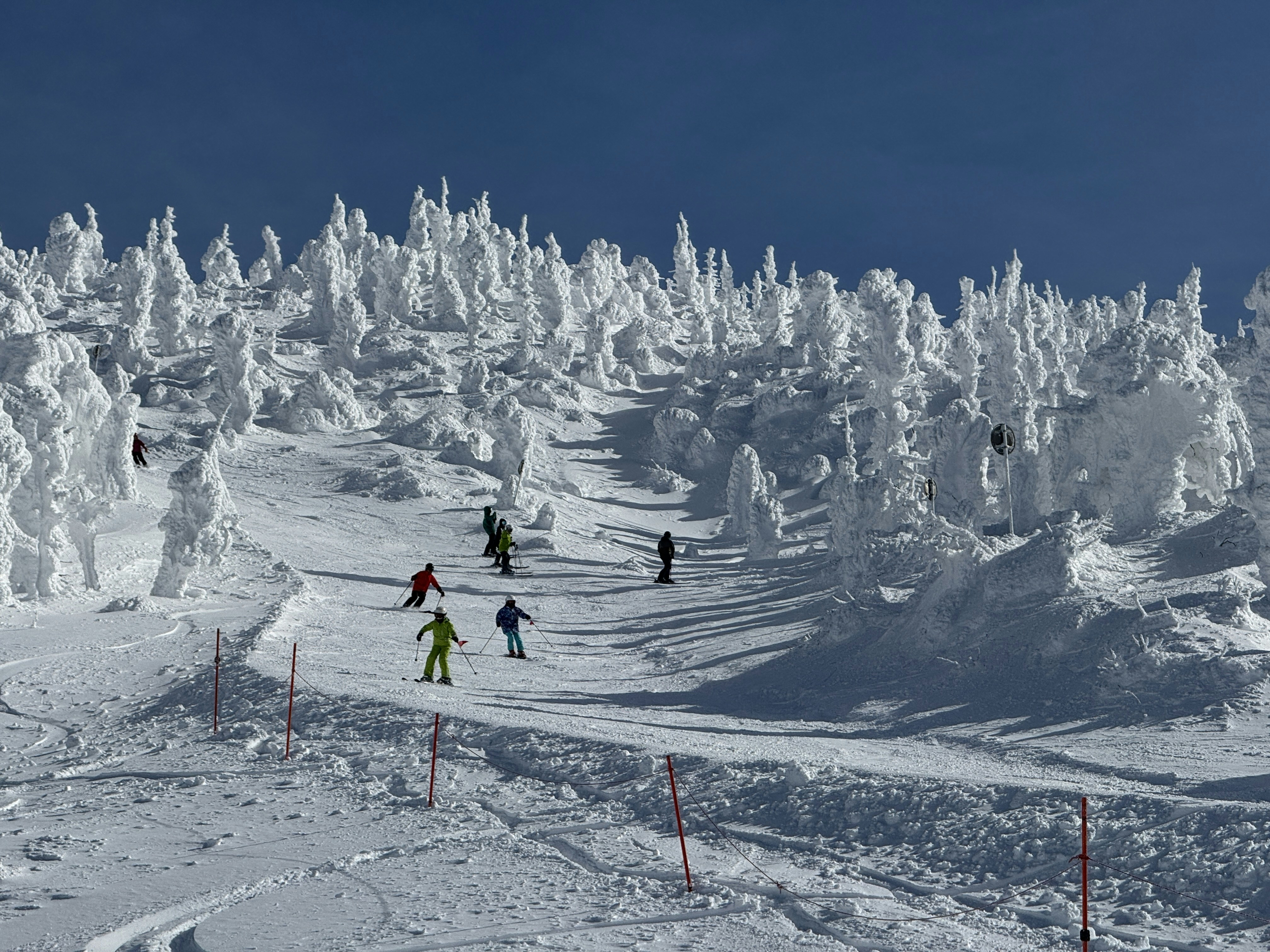 Powder Sunrise: Skiers Thread the Snow-Capped Forest