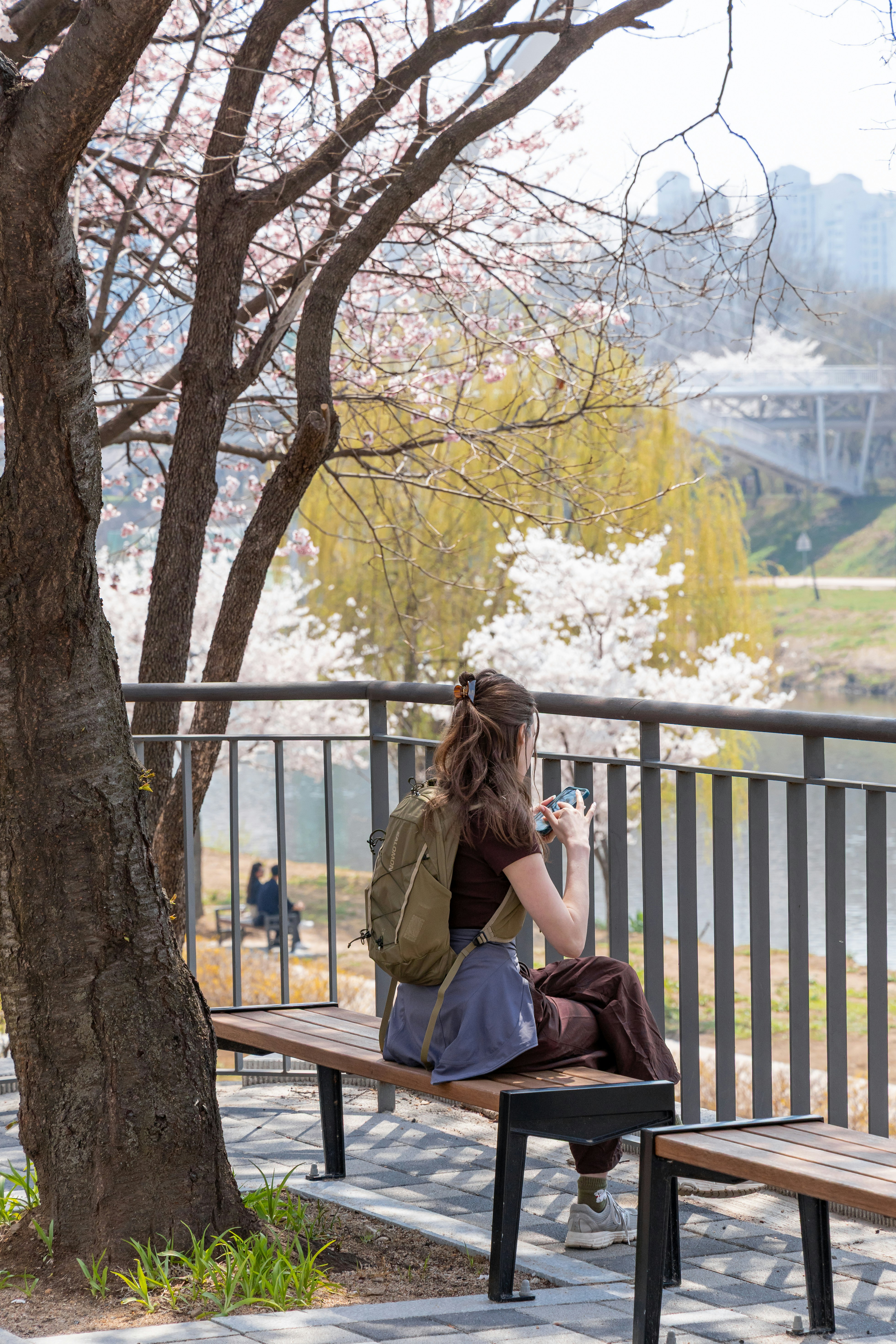 Traveler by the Riverbank: A Quiet Moment with a Smartphone in Spring Light