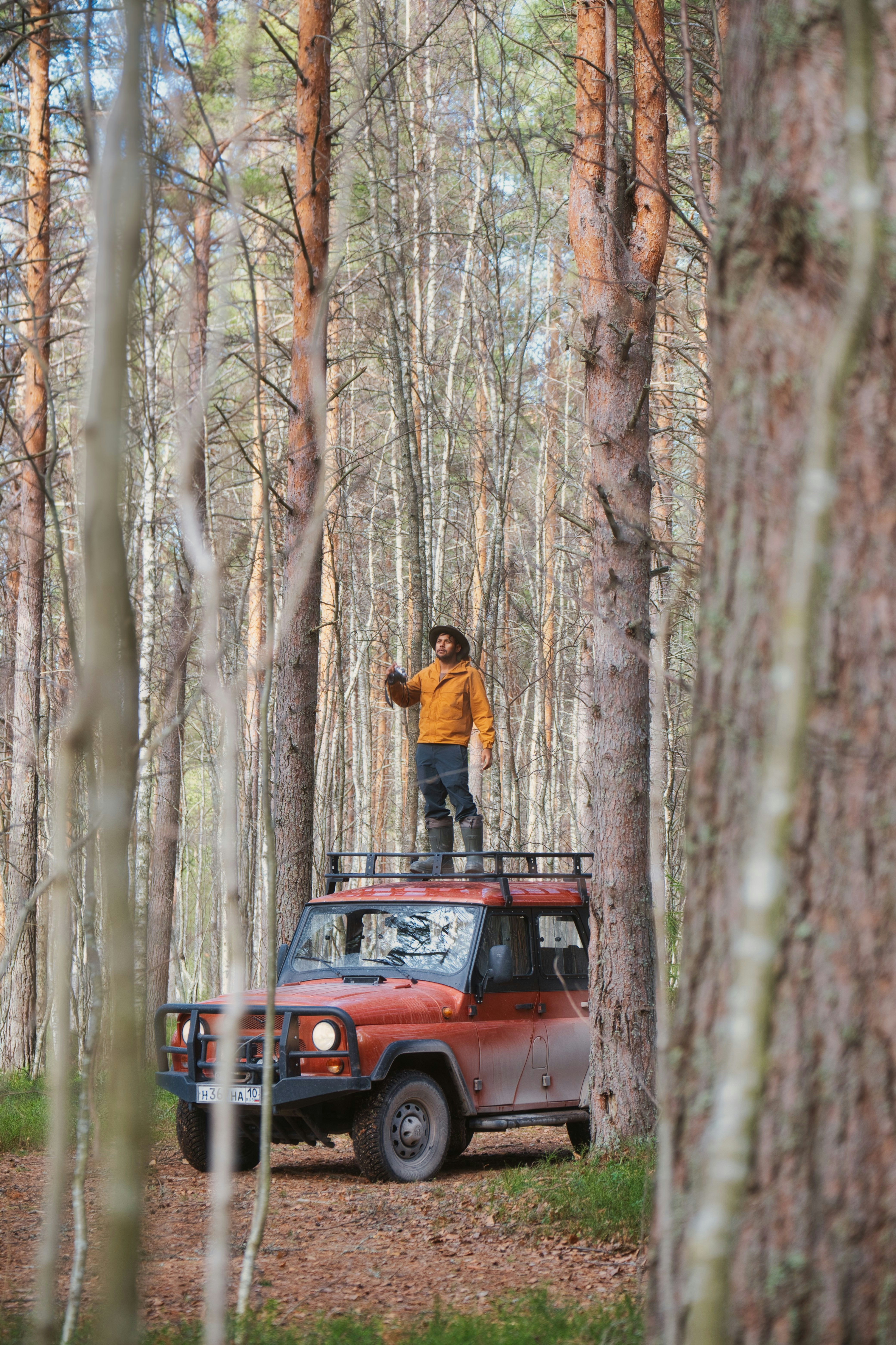 Ridge Ranger: A Man on a Roof in a Pine Forest