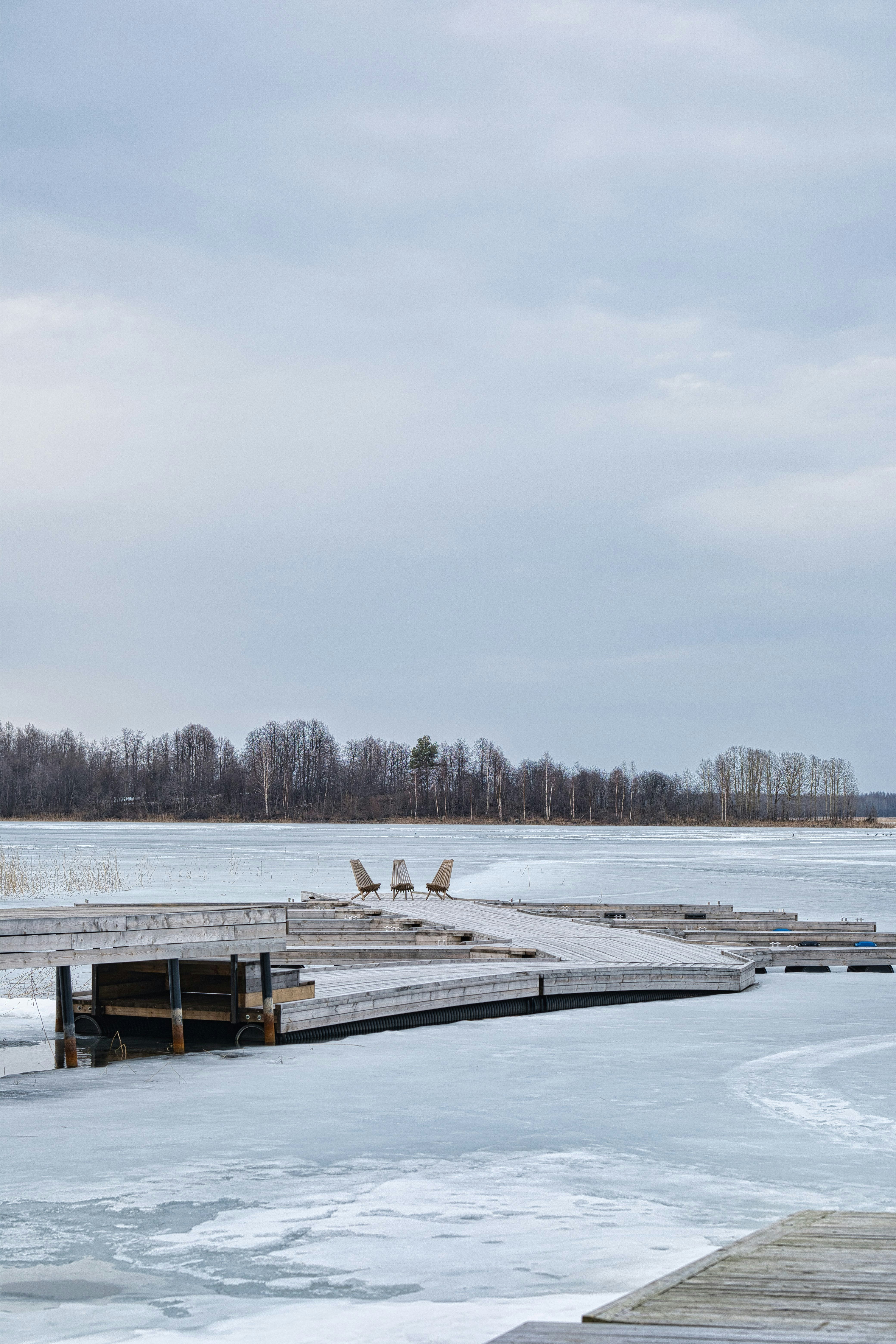 Frozen Marina: Planks Stretching Toward a Quiet Winter Shore