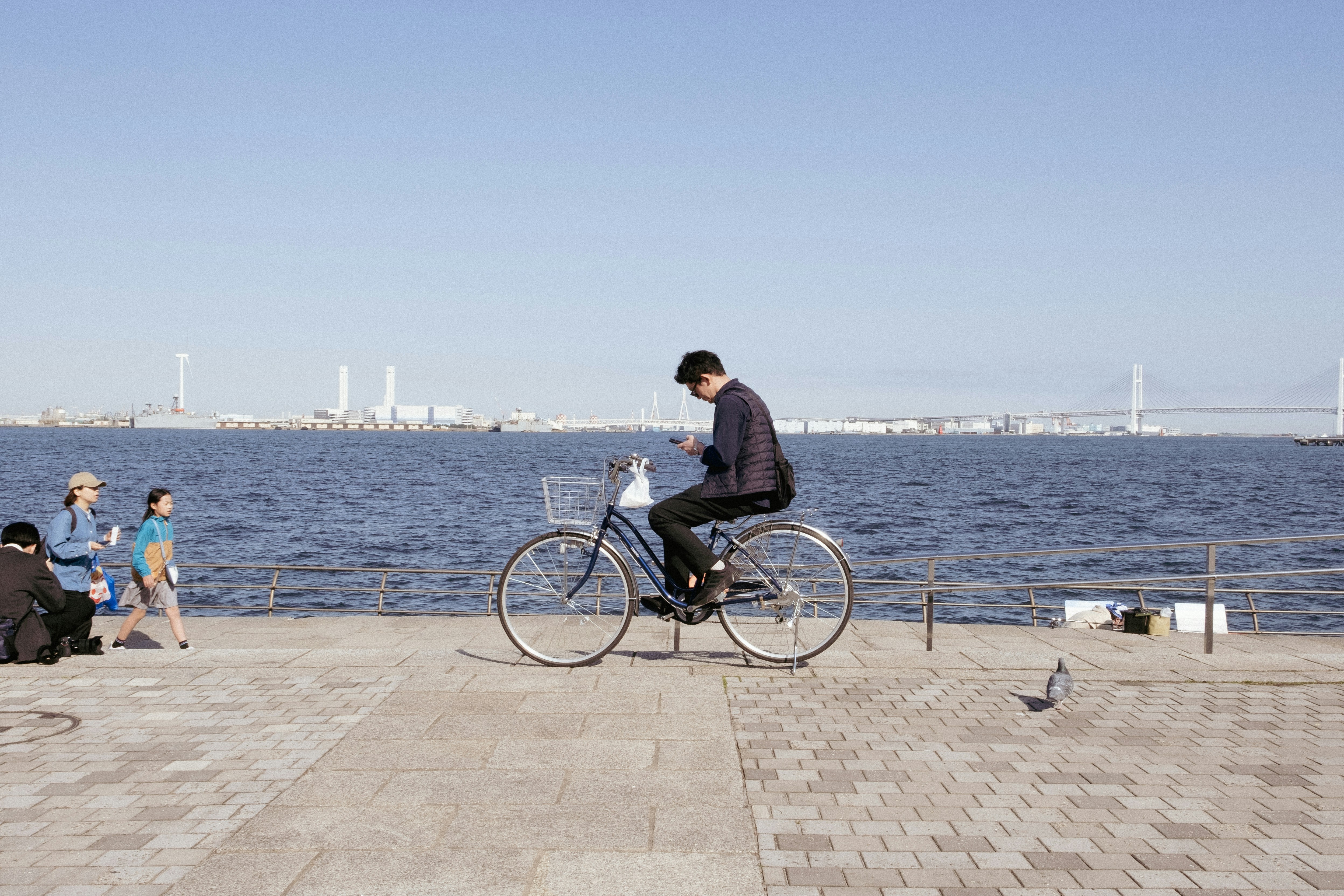 Cyclist in the foreground, calm harbor and bridge in the distance