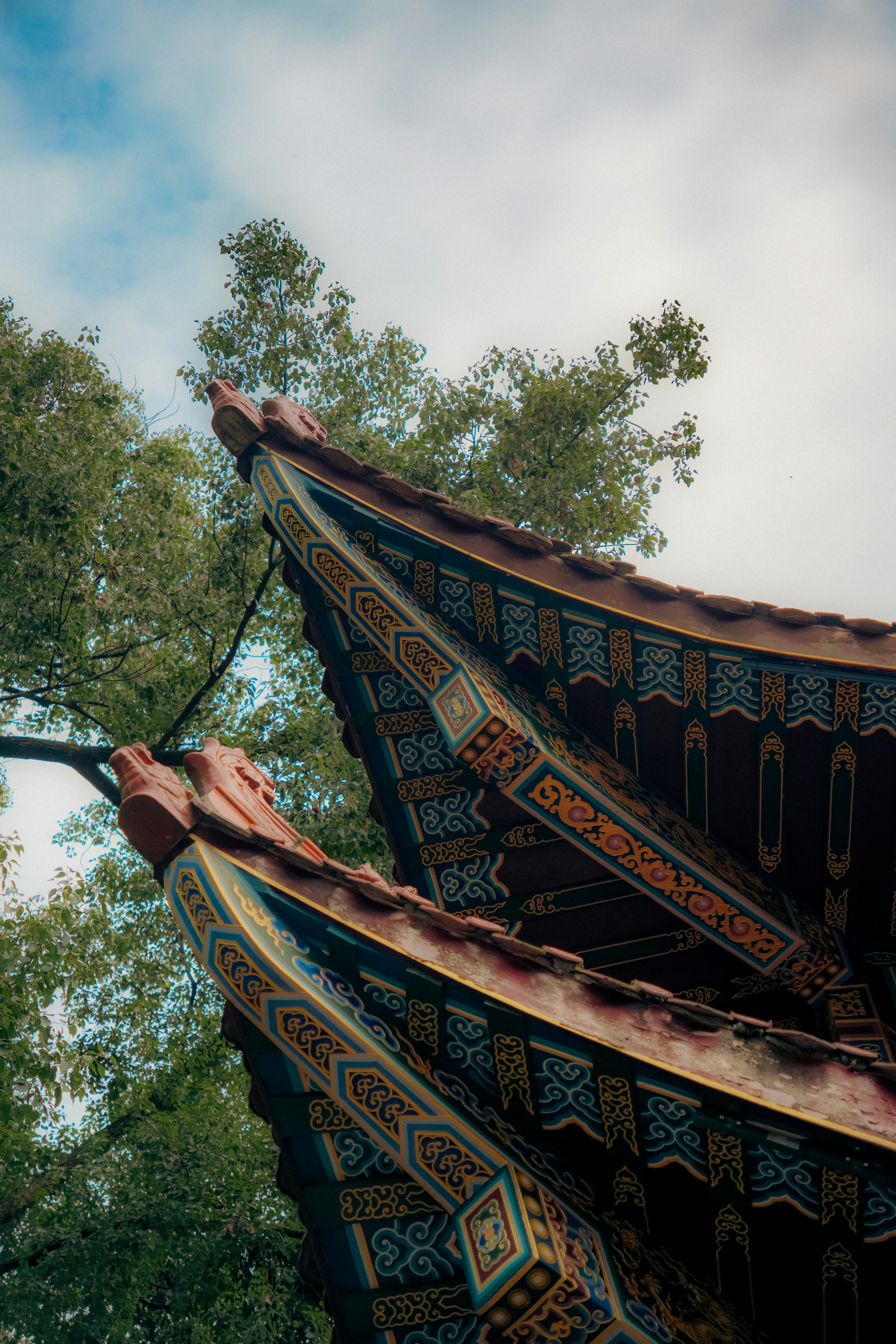 Curved eaves of a temple roof reaching toward a sky-streaked canopy