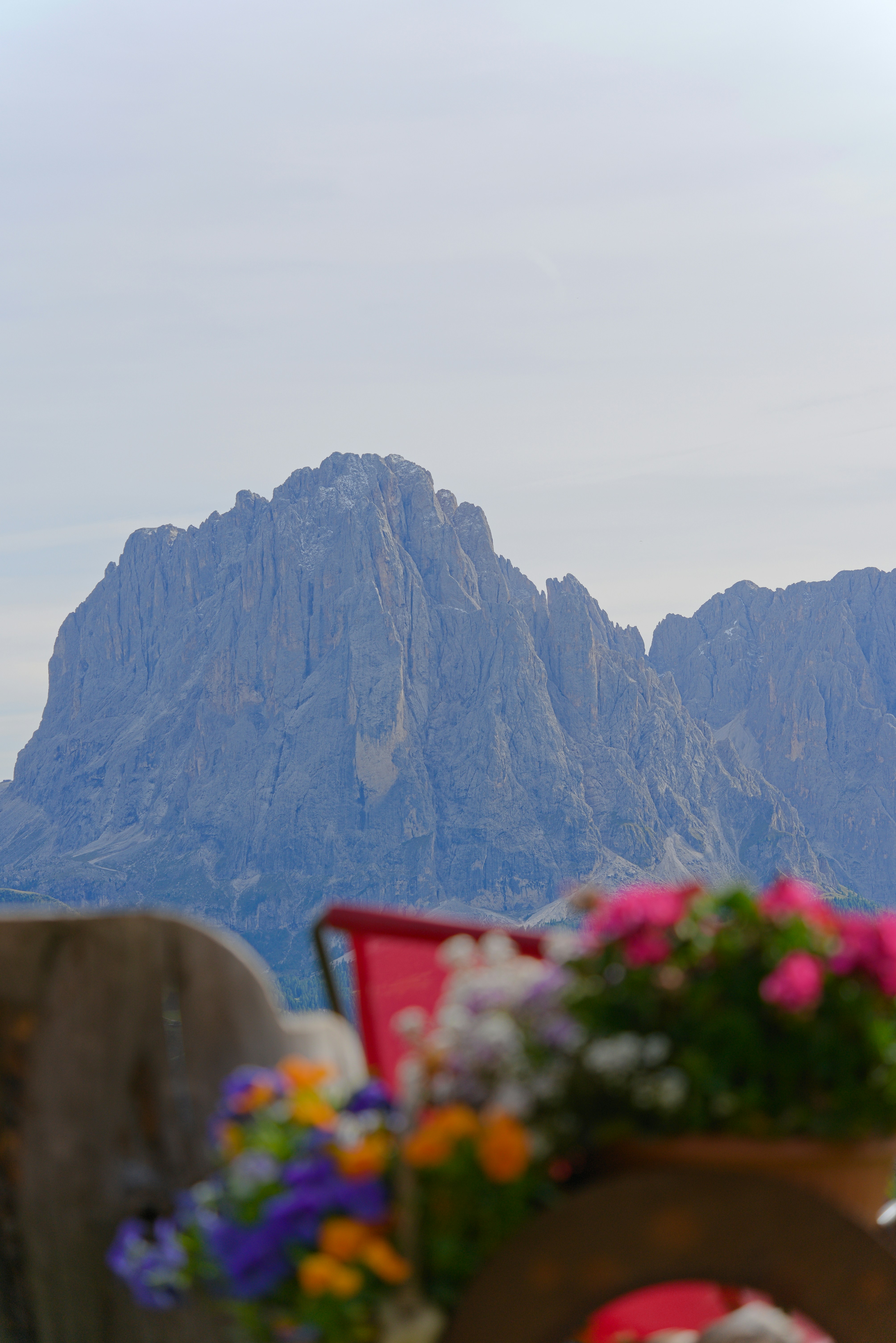 Majestic Mountain Ridge Framed by a Blooming Terrace