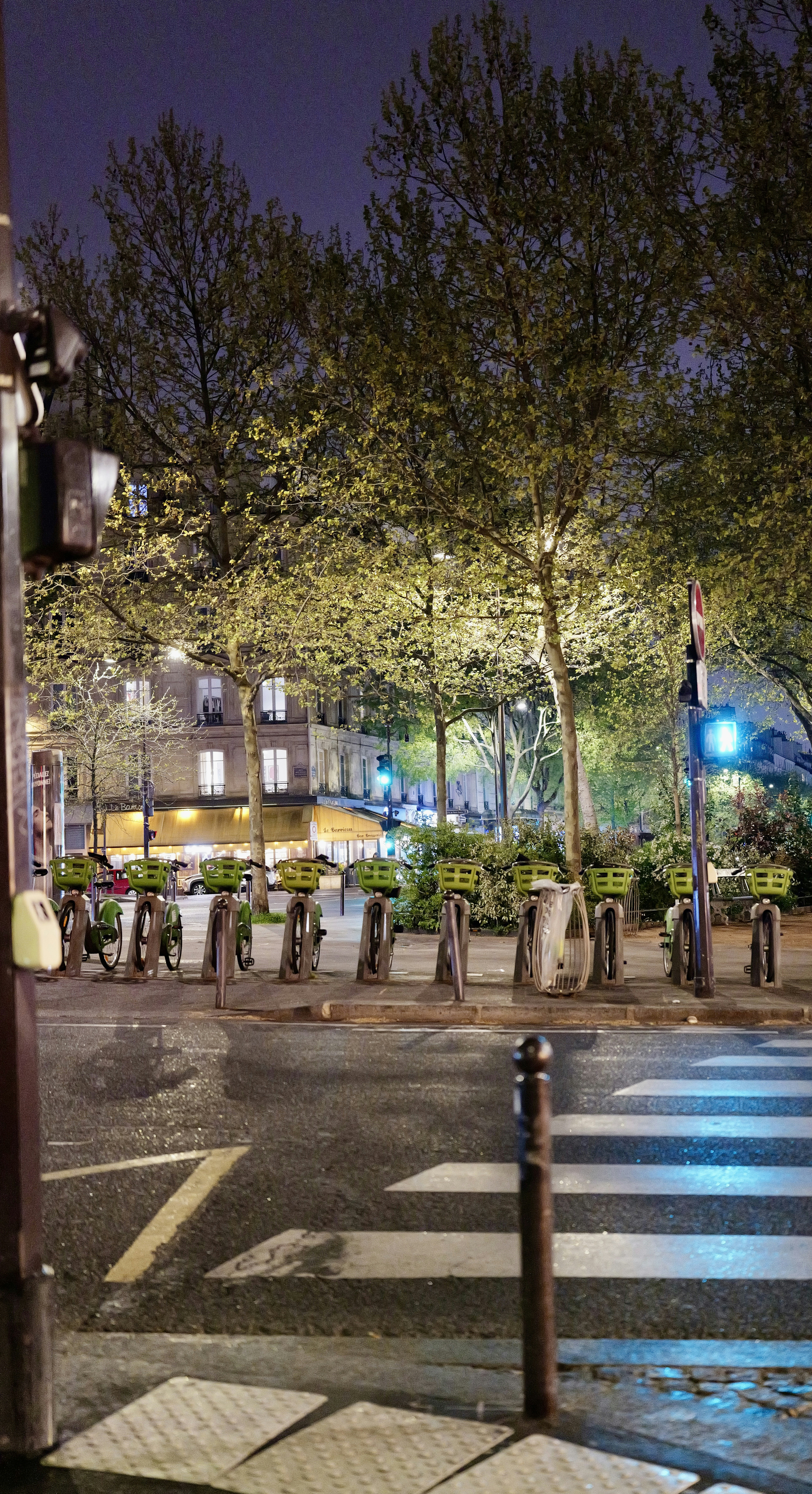 Night Street Ballet: Bikes in Line Under City Lights
