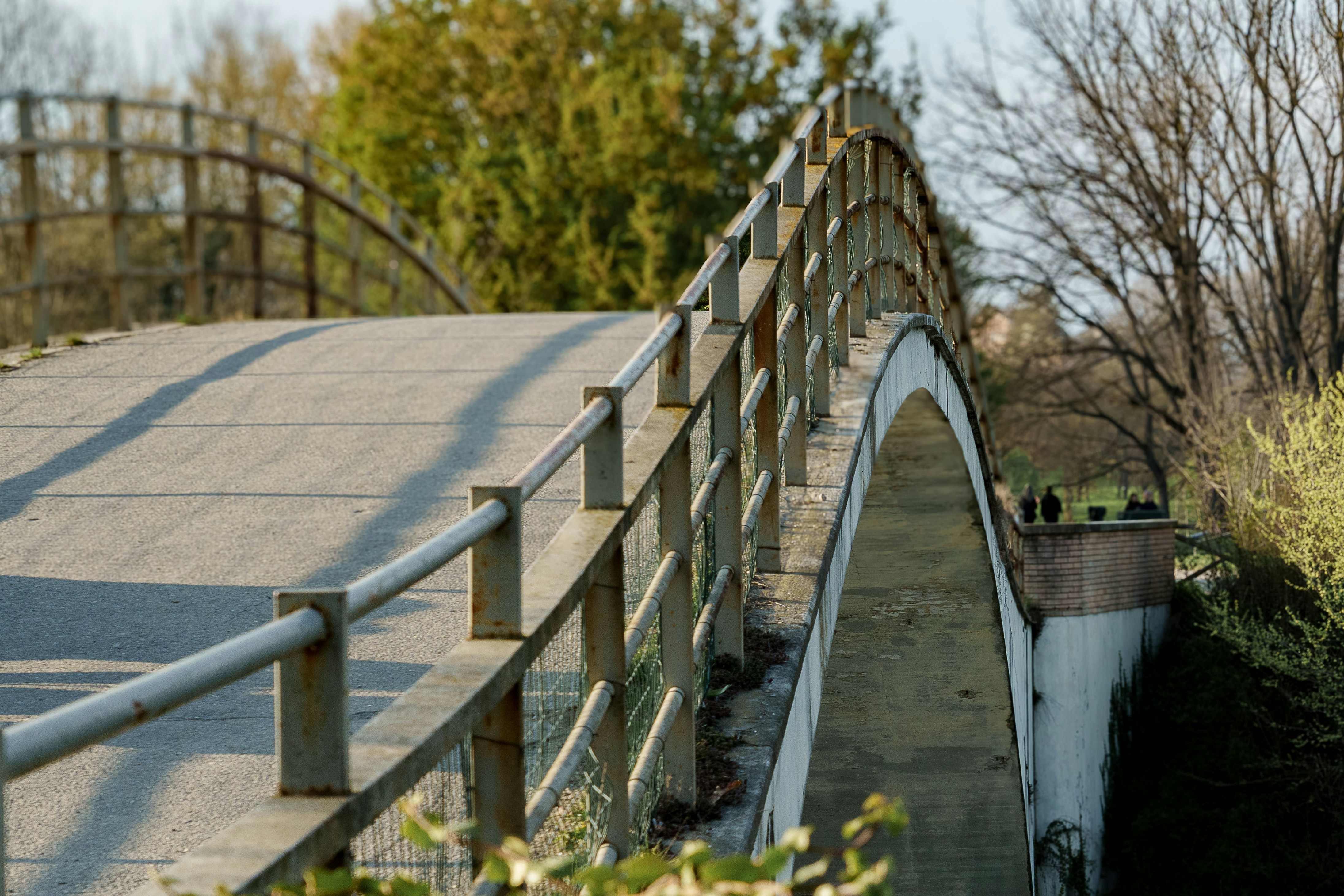 Bridge of Light and Shadows