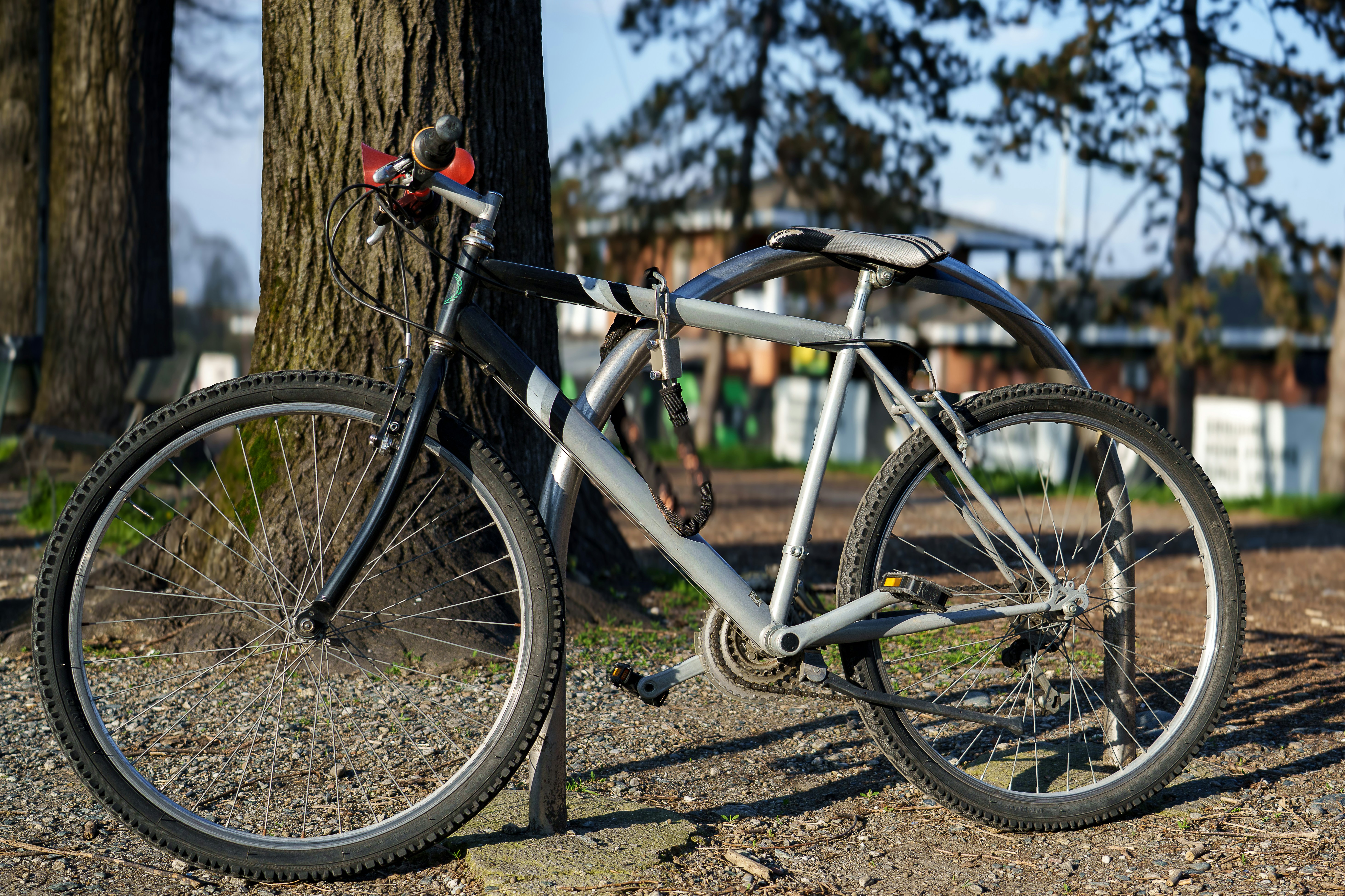 Stalled in the Park: A Bicycle Resting by the Trunk