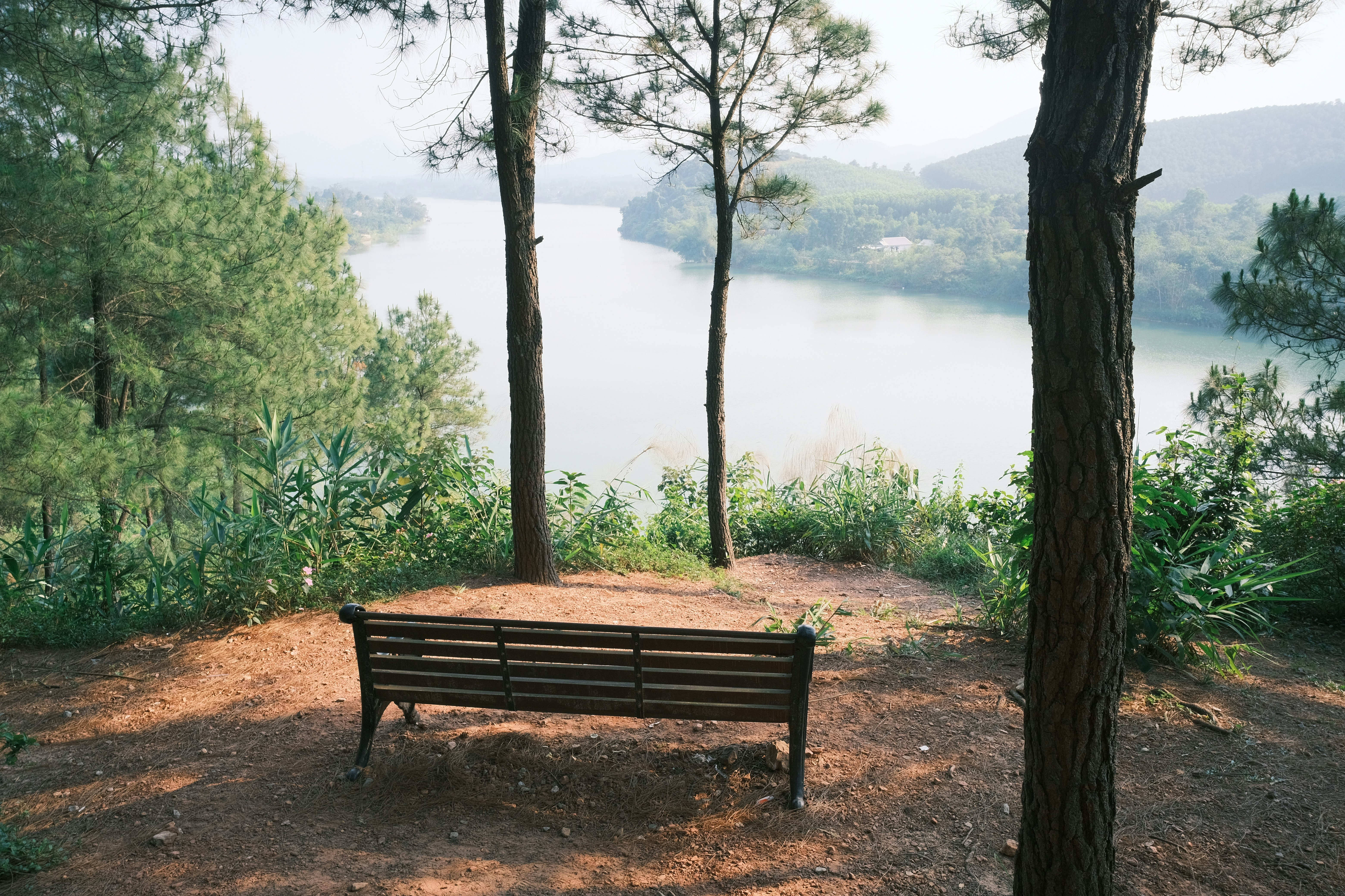 A Quiet Bench Overlooking the Lake From the Forest Edge