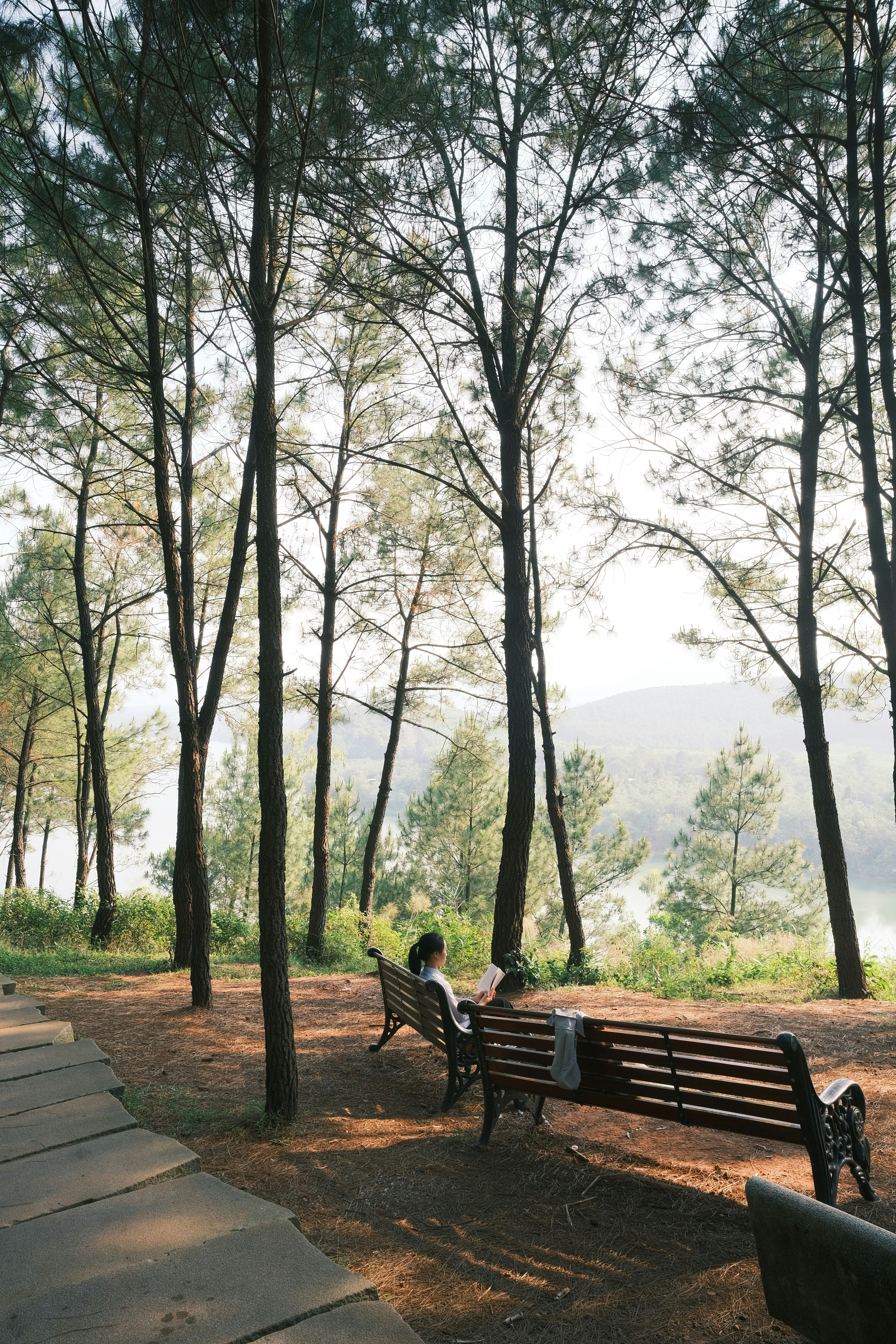 Quiet Conversation in a Pine Sentinel Park