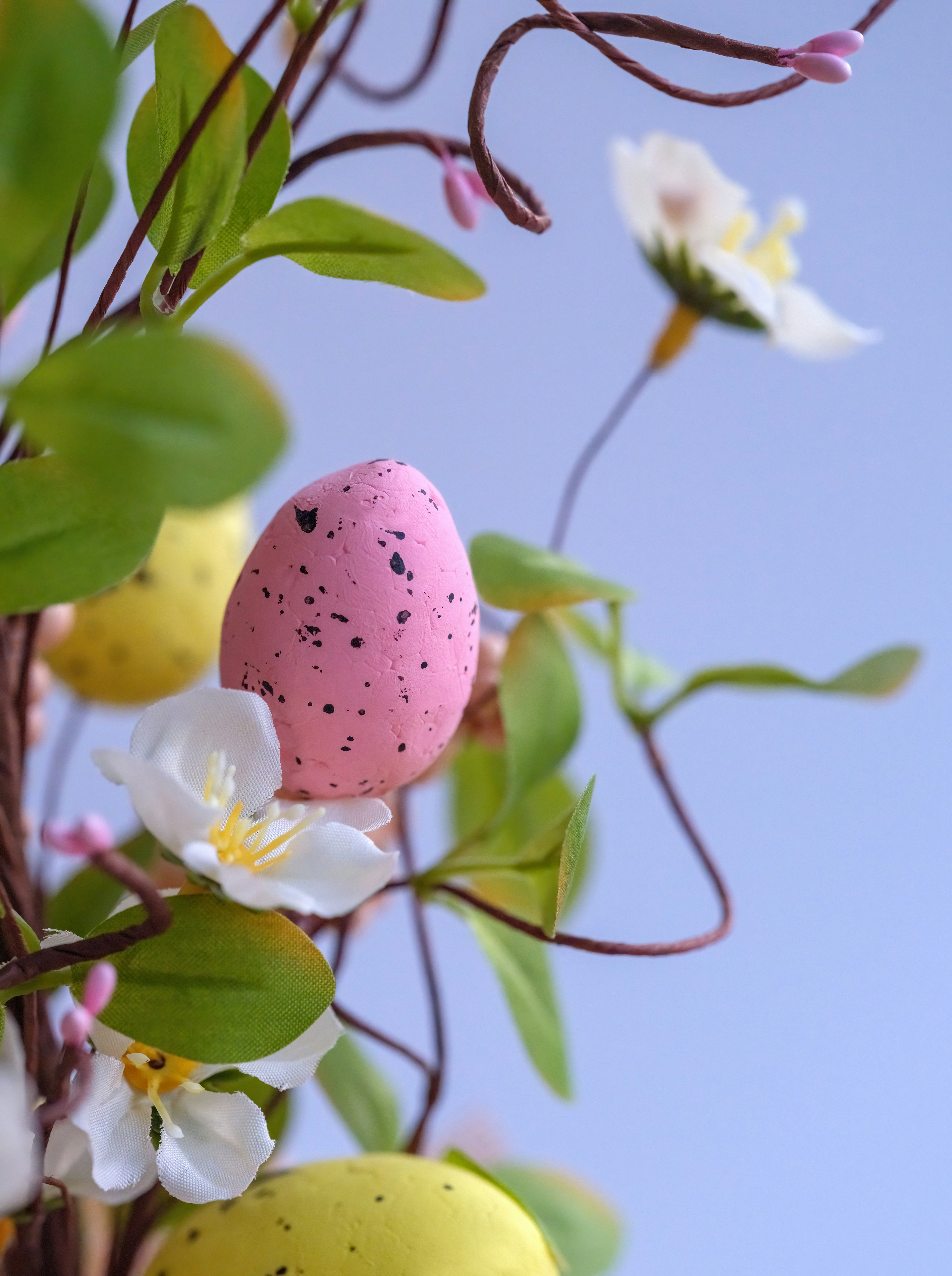 Pink Speckled Egg Nestled Among White Flowers Against a Soft Blue Sky