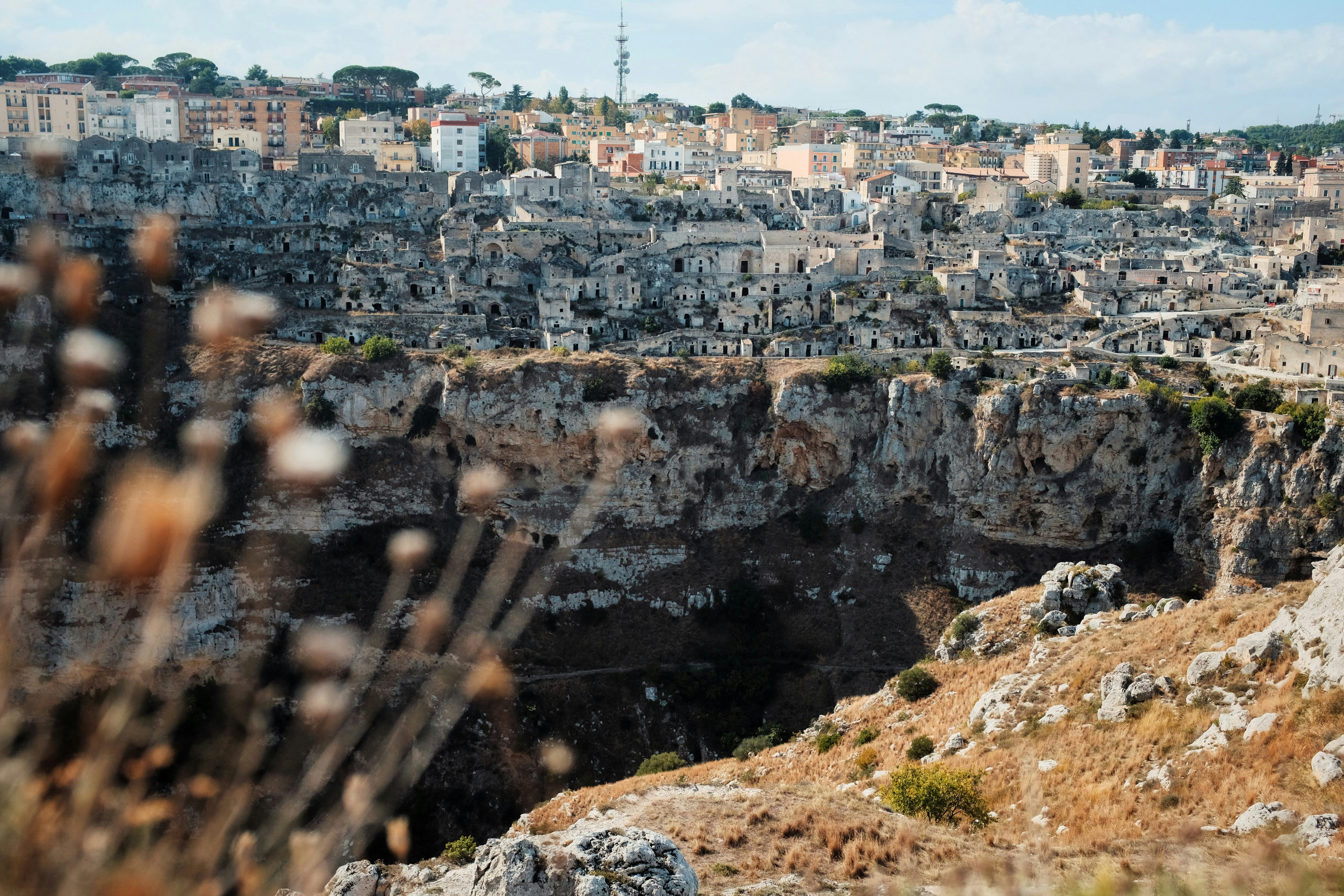 Medieval Cliffside Town Framed by Foreground Thorns
