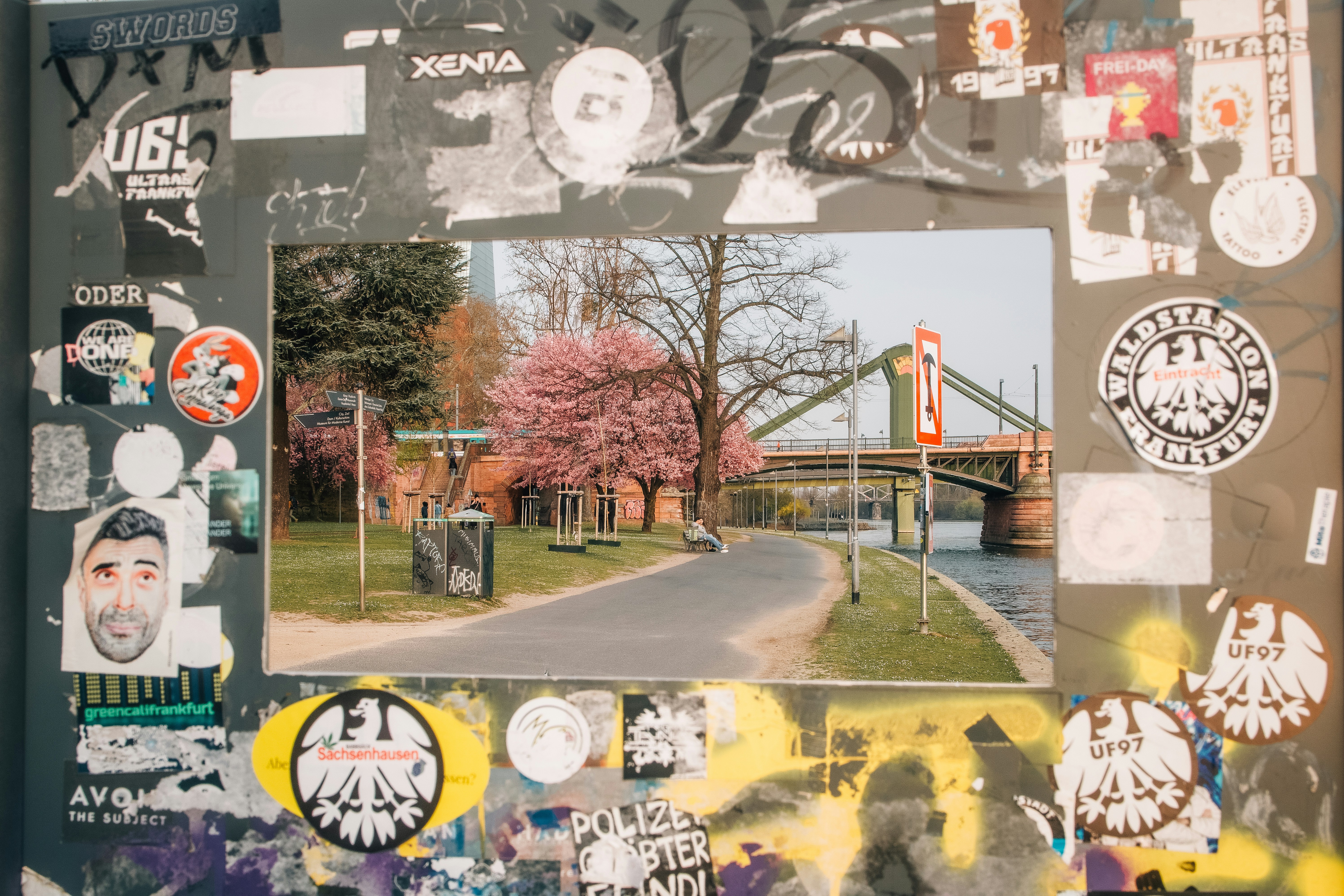 Framed Path: Cherry Blossoms Through a Sticker-Clad Gateway