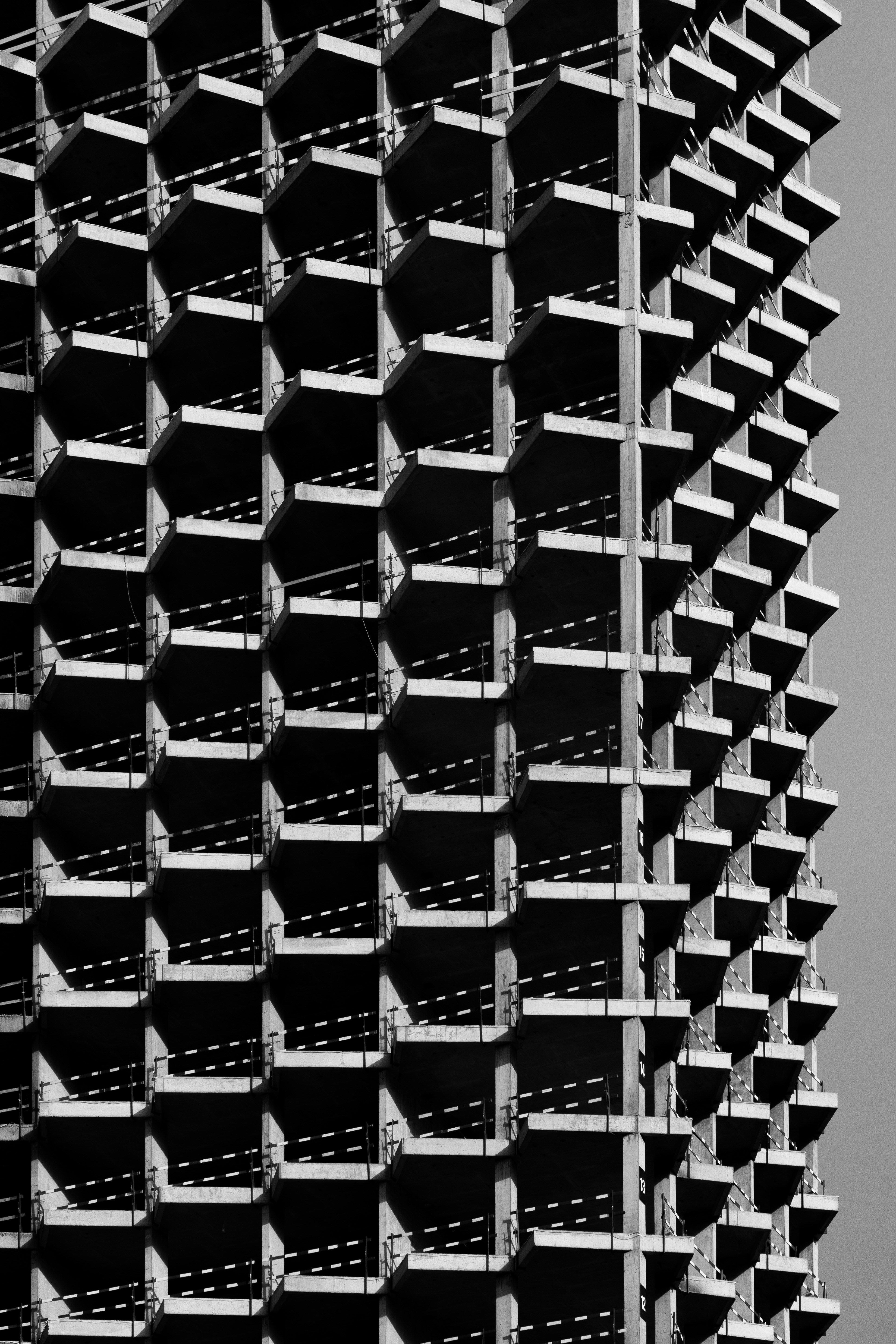 Hexagonal Skin: A Monochrome Ballet of Concrete Grids
