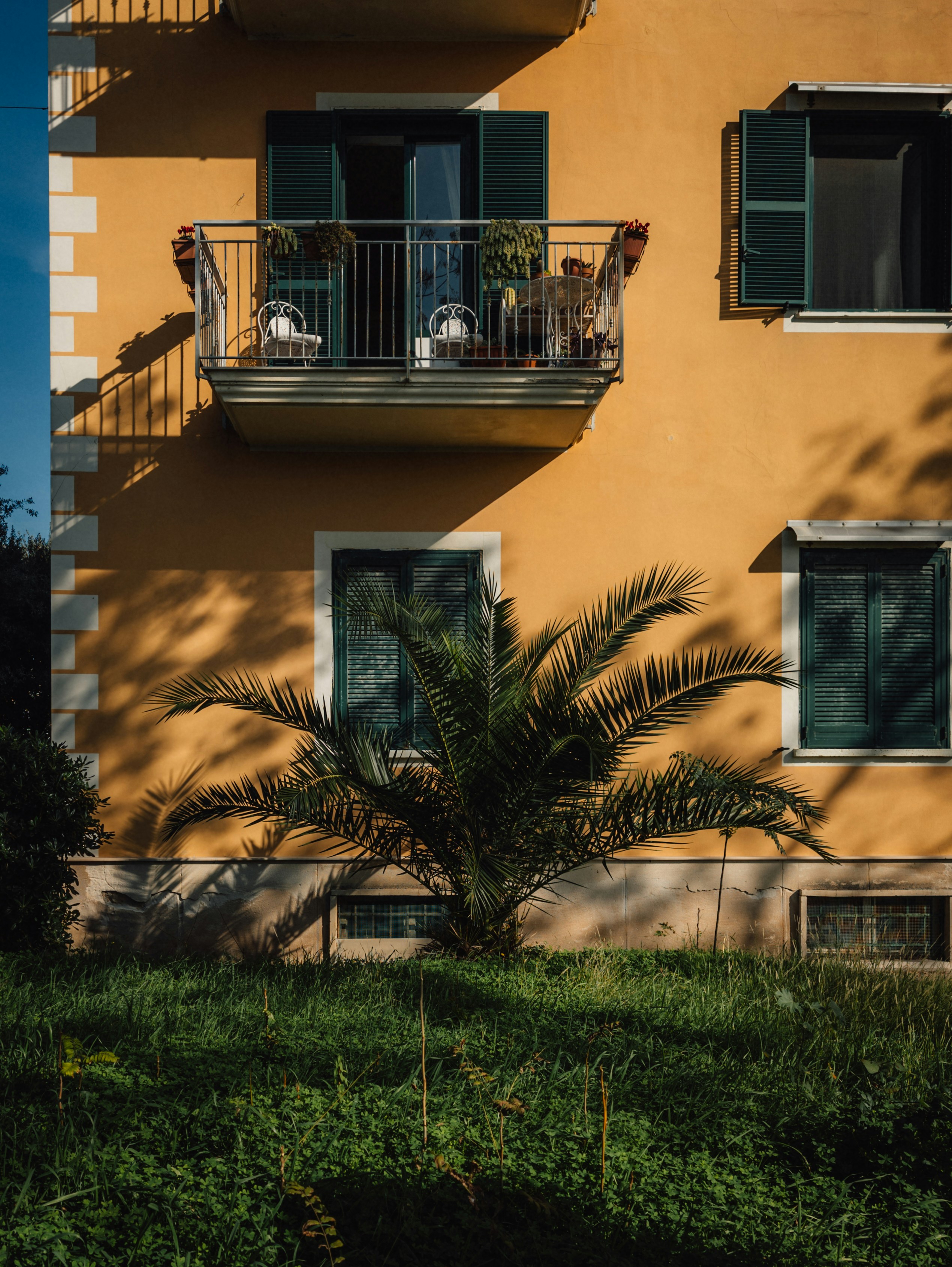 Sunlit Terrace Above the Palm Shadow