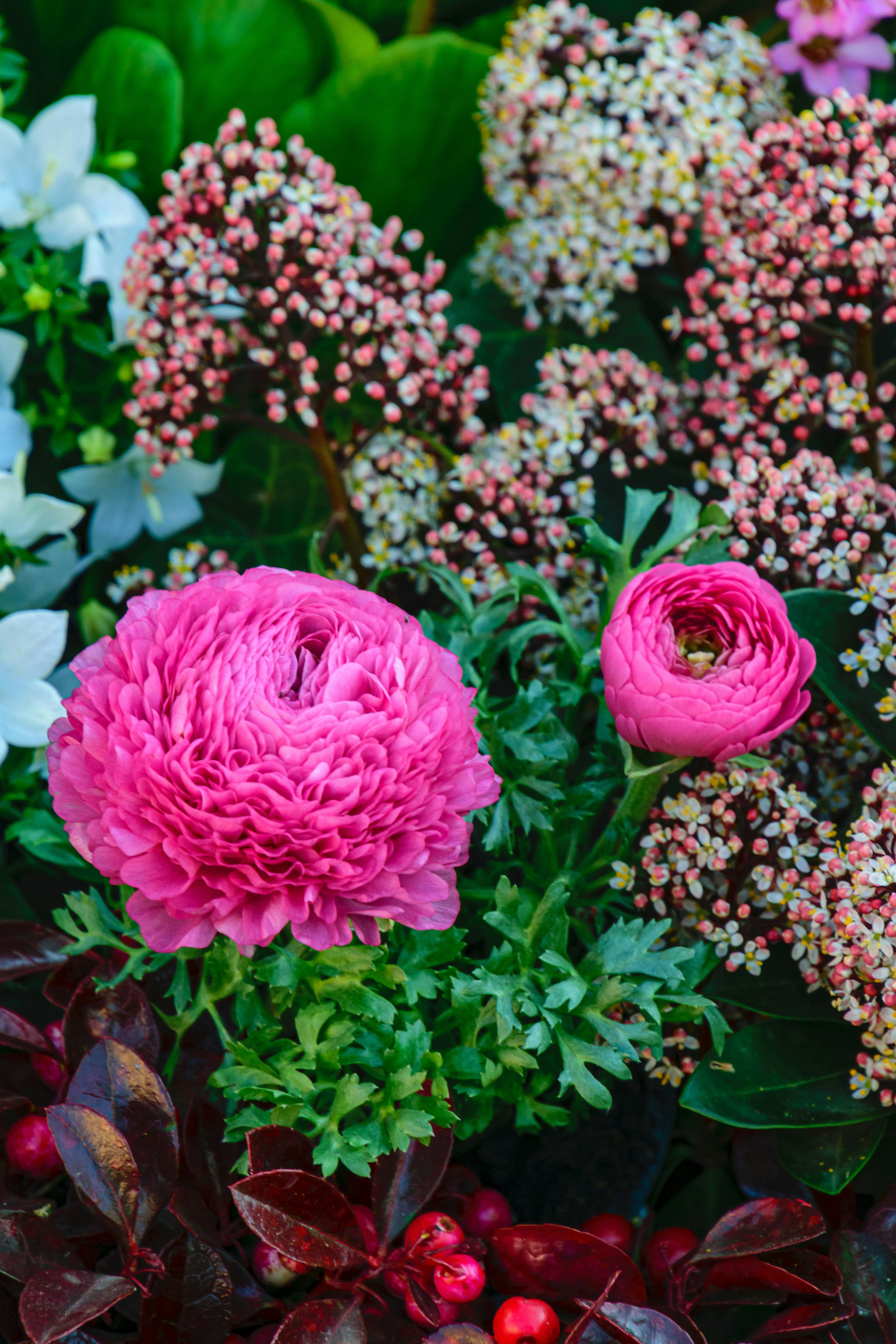 Vibrant Pink Peony Among Accompanying Blooms
