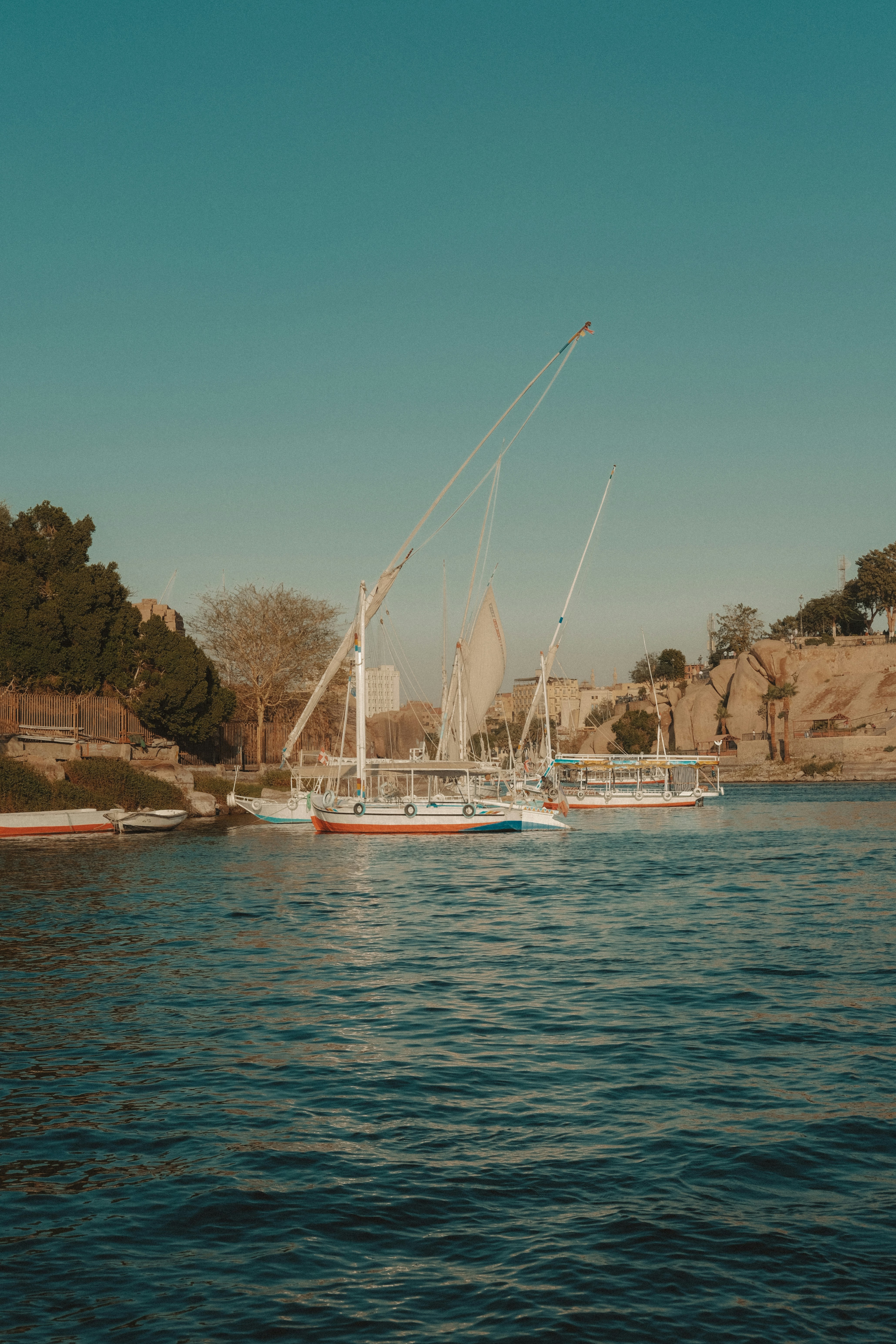 Sailboats Resting on a Quiet Cove at Golden Hour