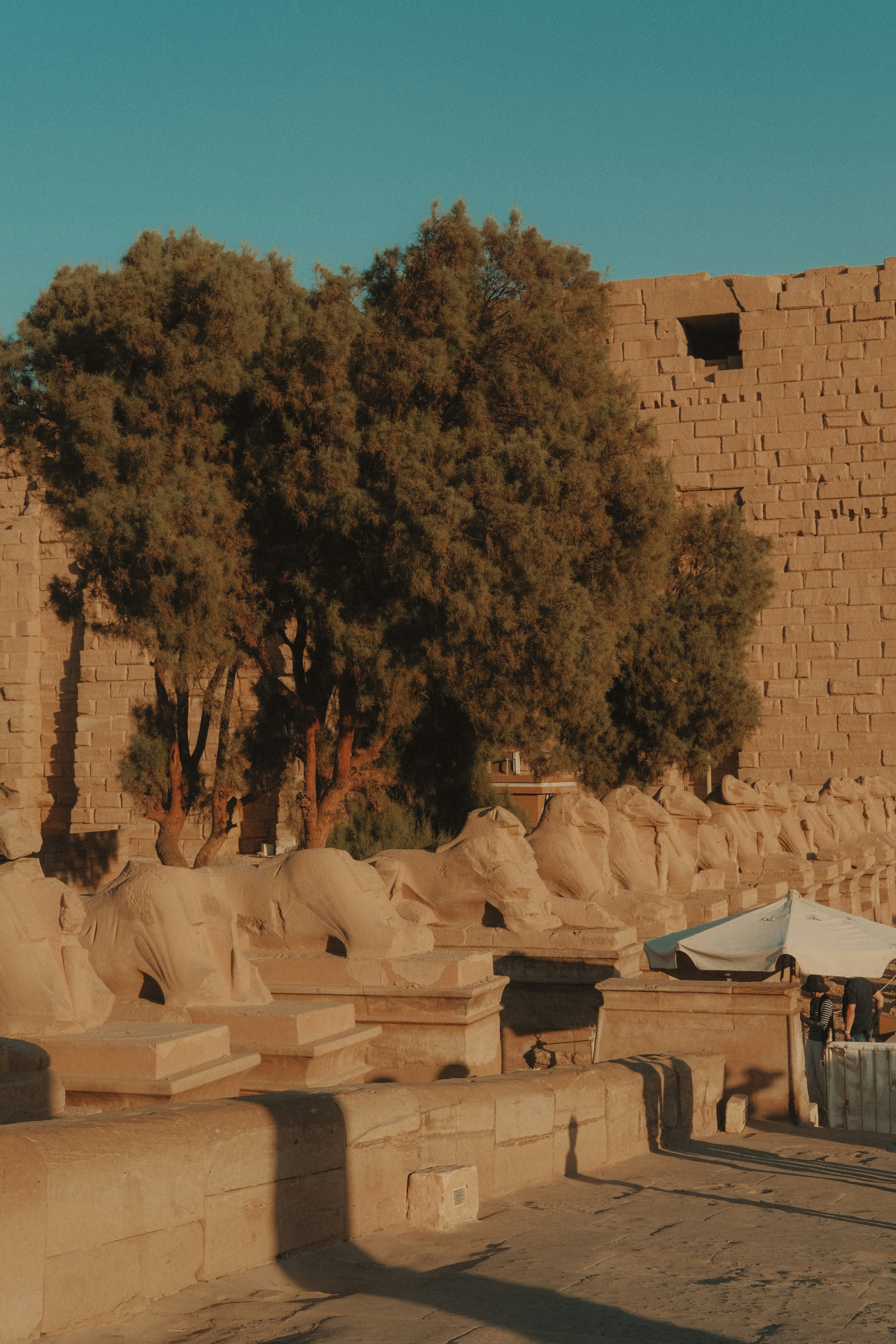 Ancient Carved Stones Beside Sunlit Palms