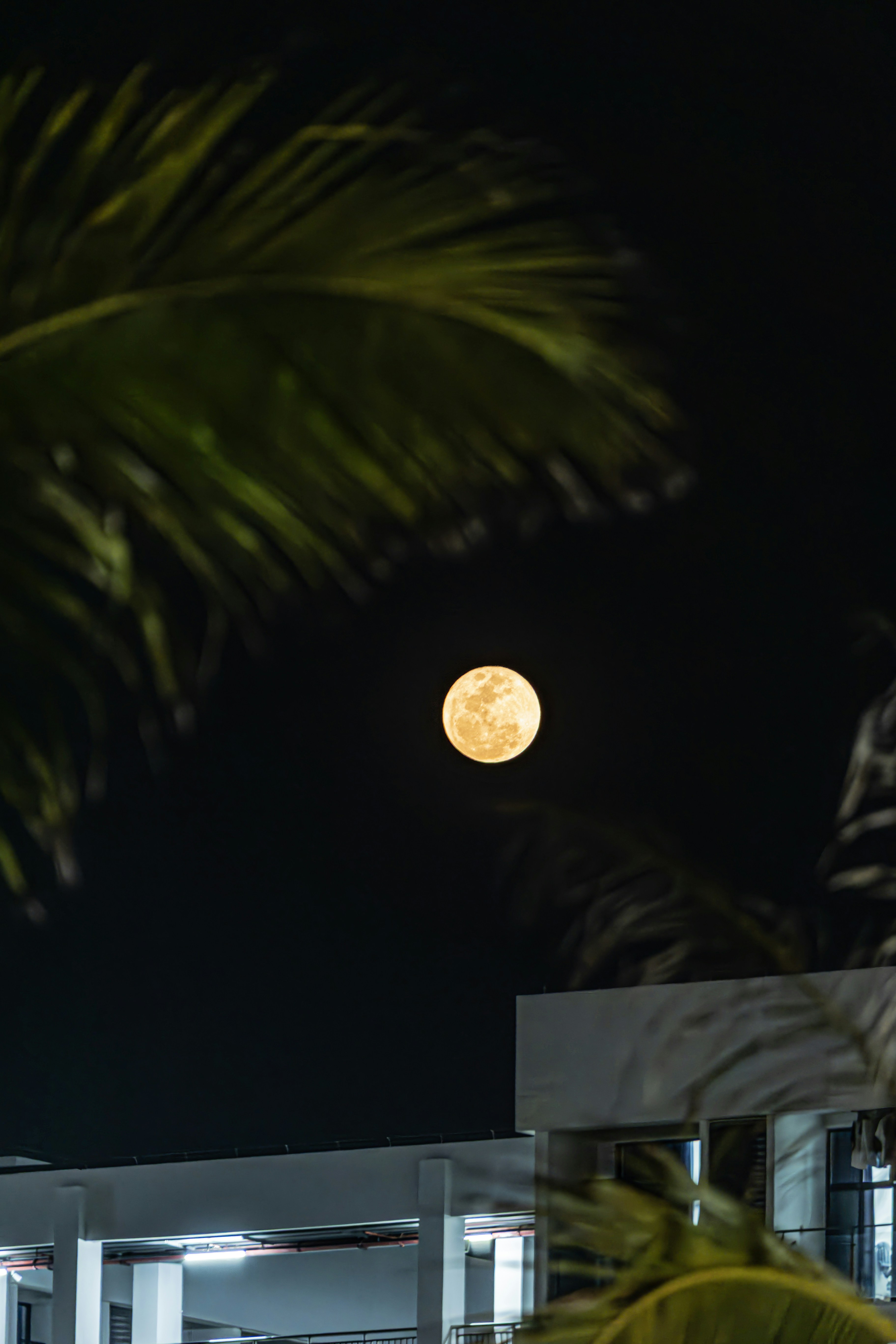 Moonlit Night Over a Modern Terrace