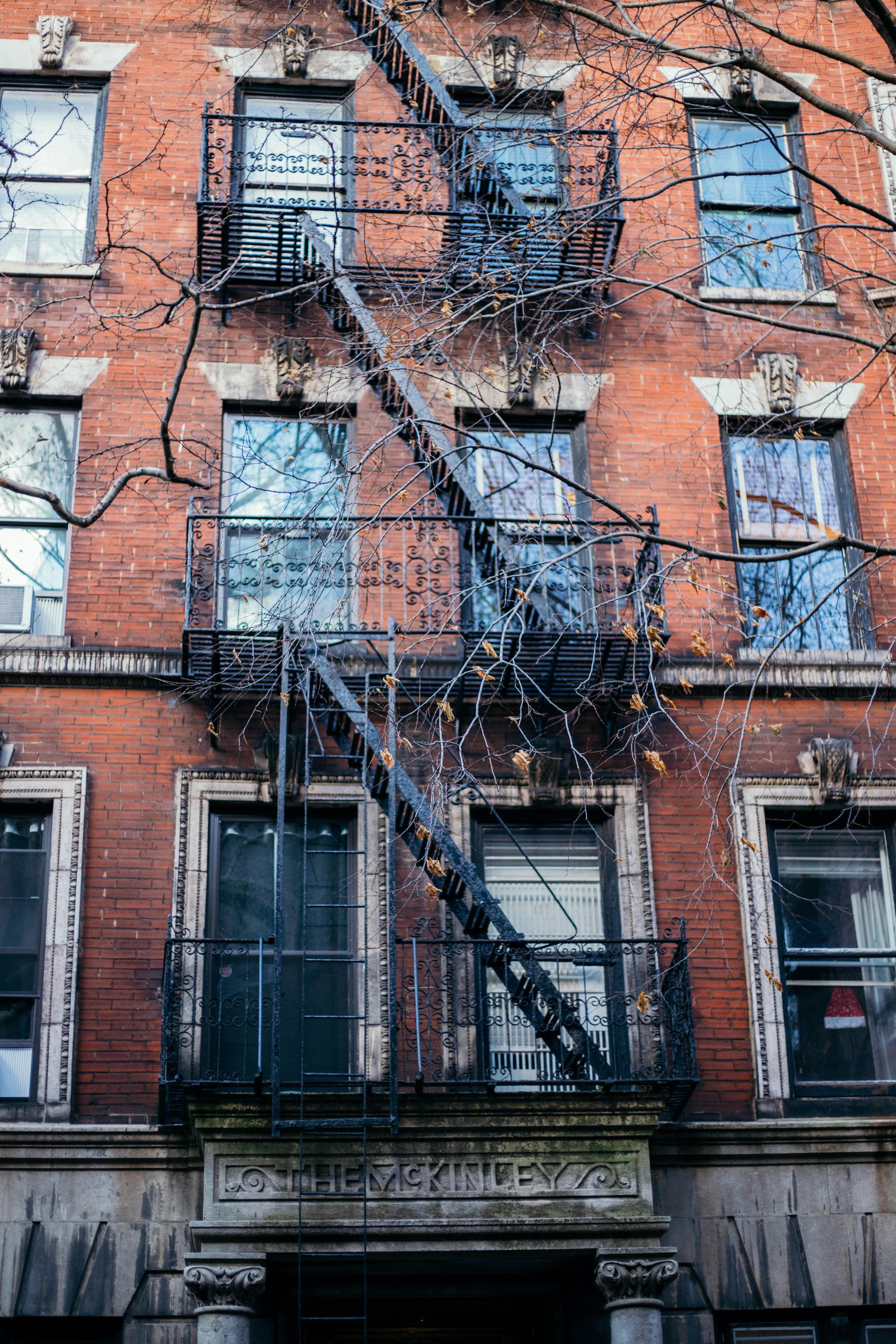 Fire escape across red-brick facade: tangled branches frame a municipal ascent
