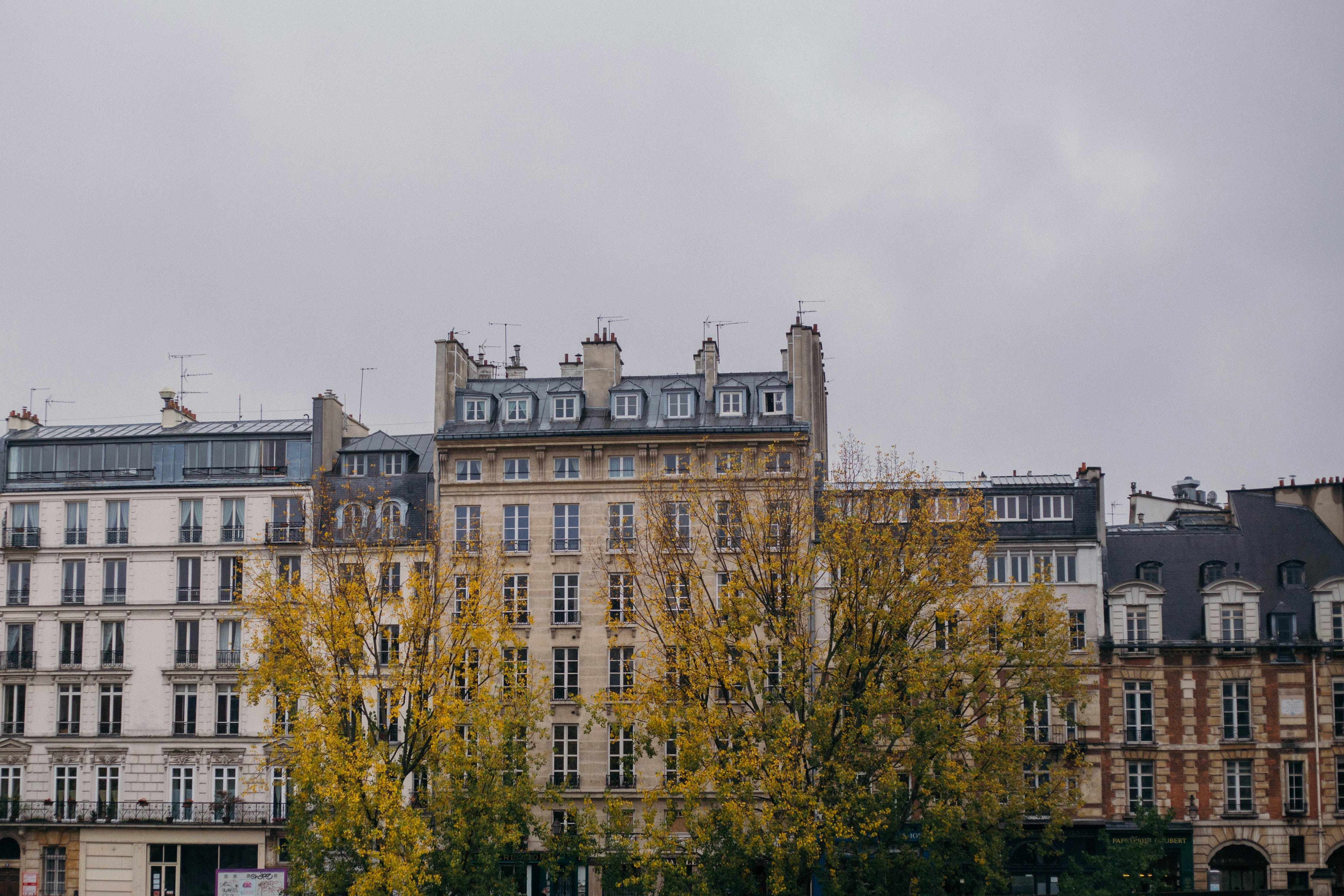Autumn Facade: European Row Houses Beneath Cloudy Sky