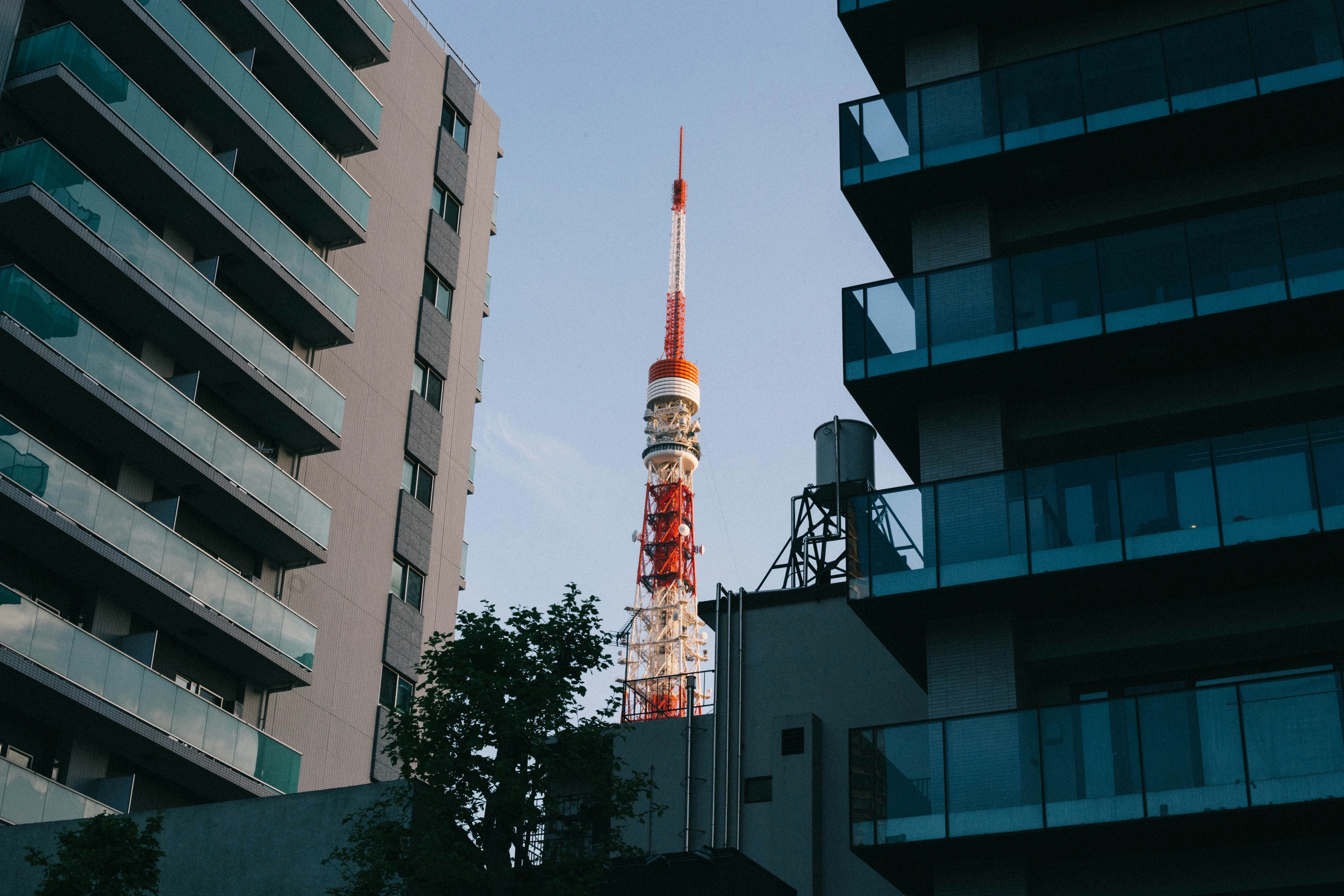 Tokyo Tower peeking between modern silhouettes