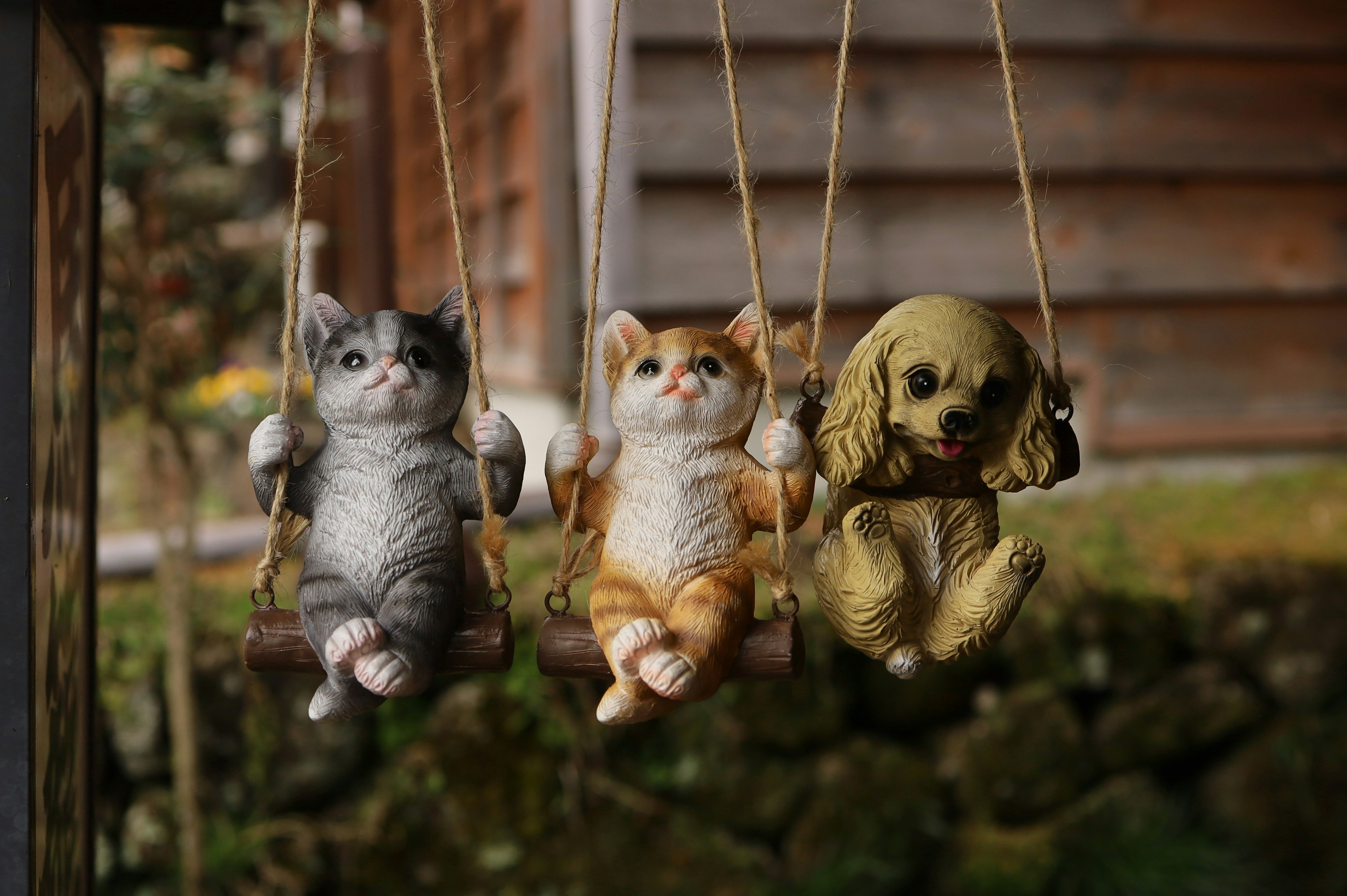 Three Swinging Friends: Cozy Cushions on a Summer Swing