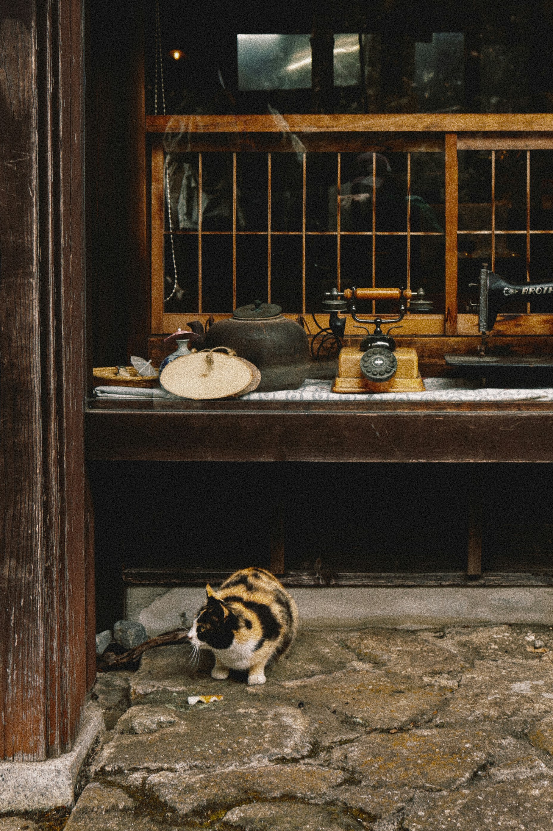 Rustic Corner: The Calico Observer Beneath the Lantern